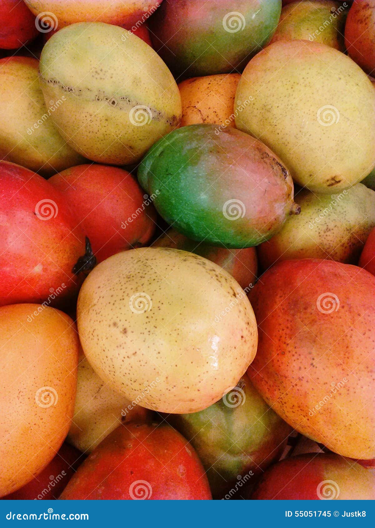 Mango stock image. Image of diet, mangos, food, vitamins - 55051745