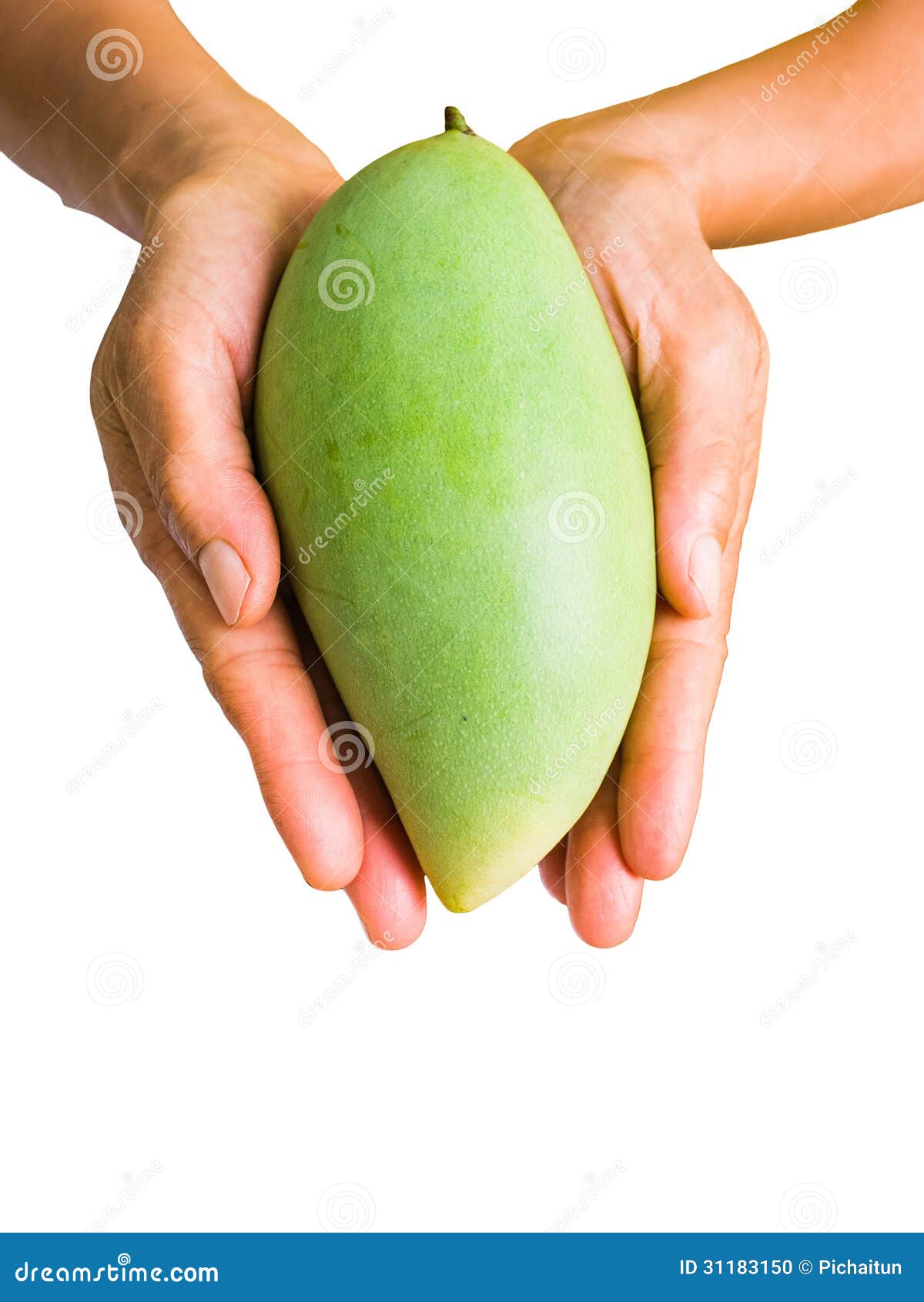 Mango stock photo. Image of isolated, flavor, sweet, space - 31183150