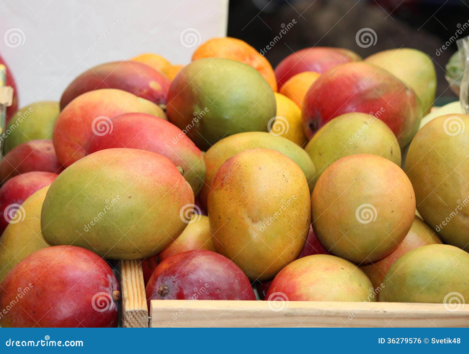 Mango stock photo. Image of healthy, food, snack, vitamins - 36279576