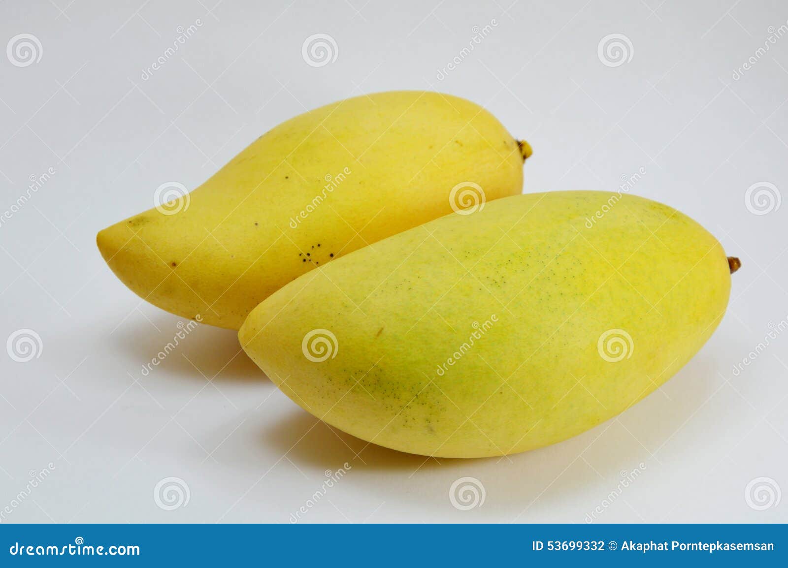 Mango ripen stock photo. Image of sale, plant, ripen - 53699332