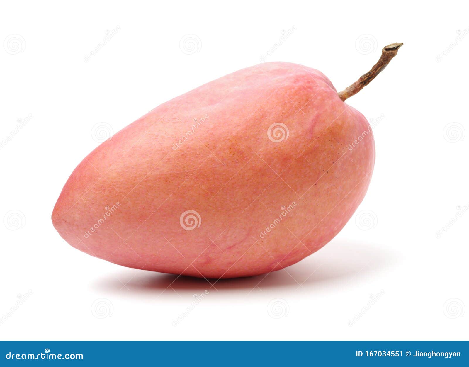 Mango rosa imagen de archivo. Imagen de primer, fondo - 167034551