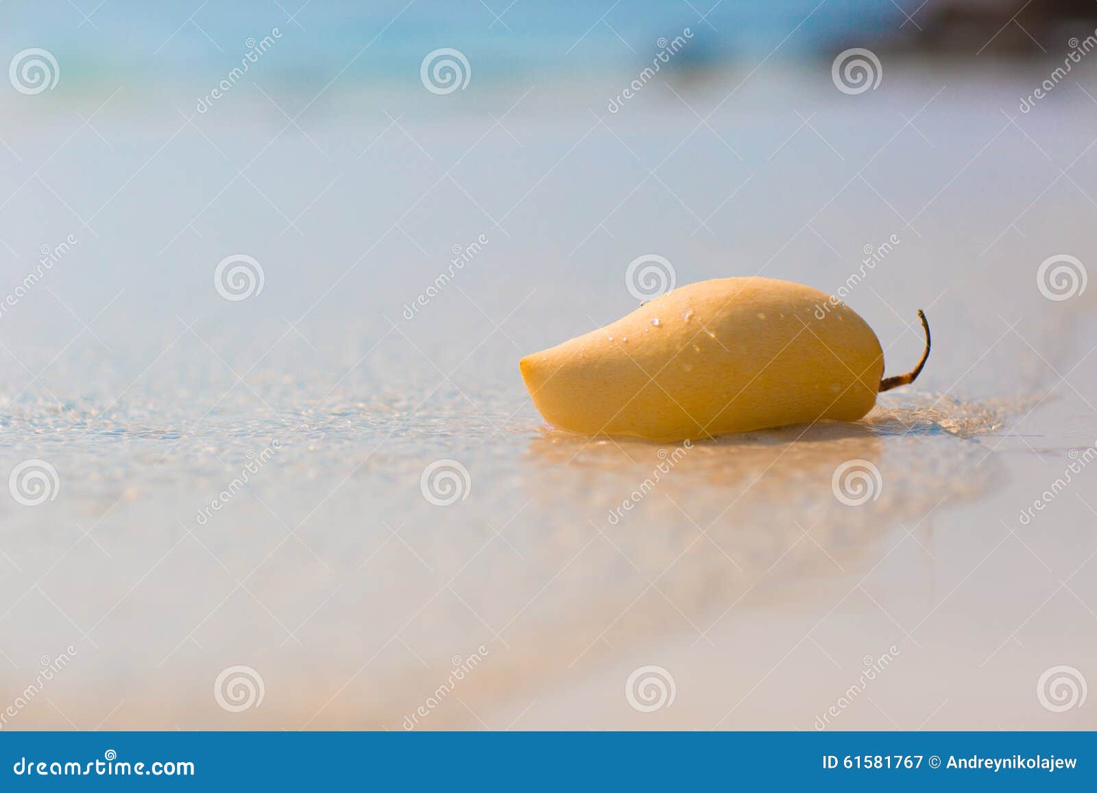 Mango On Sea Background Royalty-Free Stock Photography | CartoonDealer ...