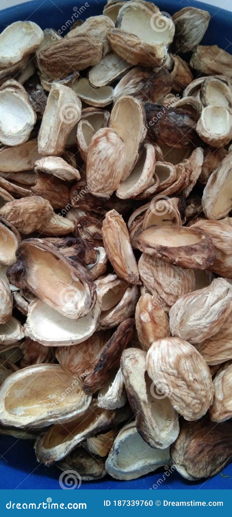 Mango seco foto de archivo. Imagen de seco, mango, irritable - 187339760