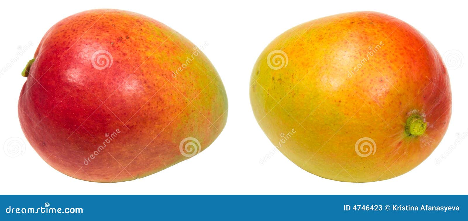 Mango Set stock image. Image of yellow, summer, freshness - 4746423