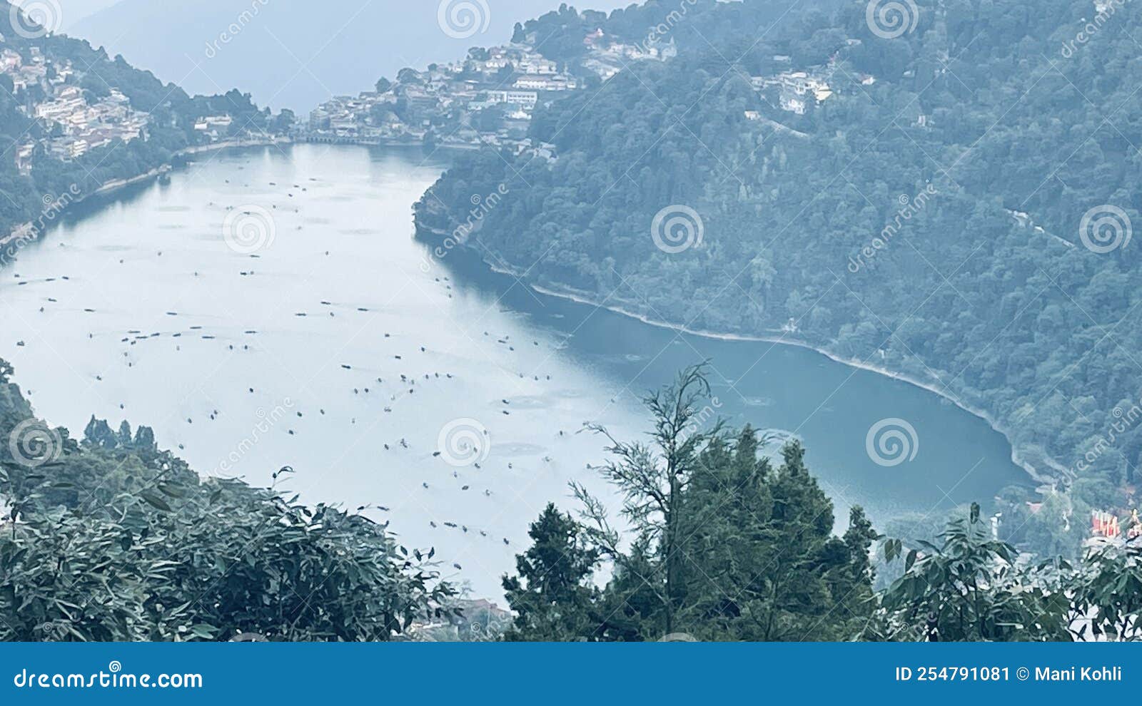 Lake Shape Mango Stock Photos - Free & Royalty-Free Stock Photos from ...