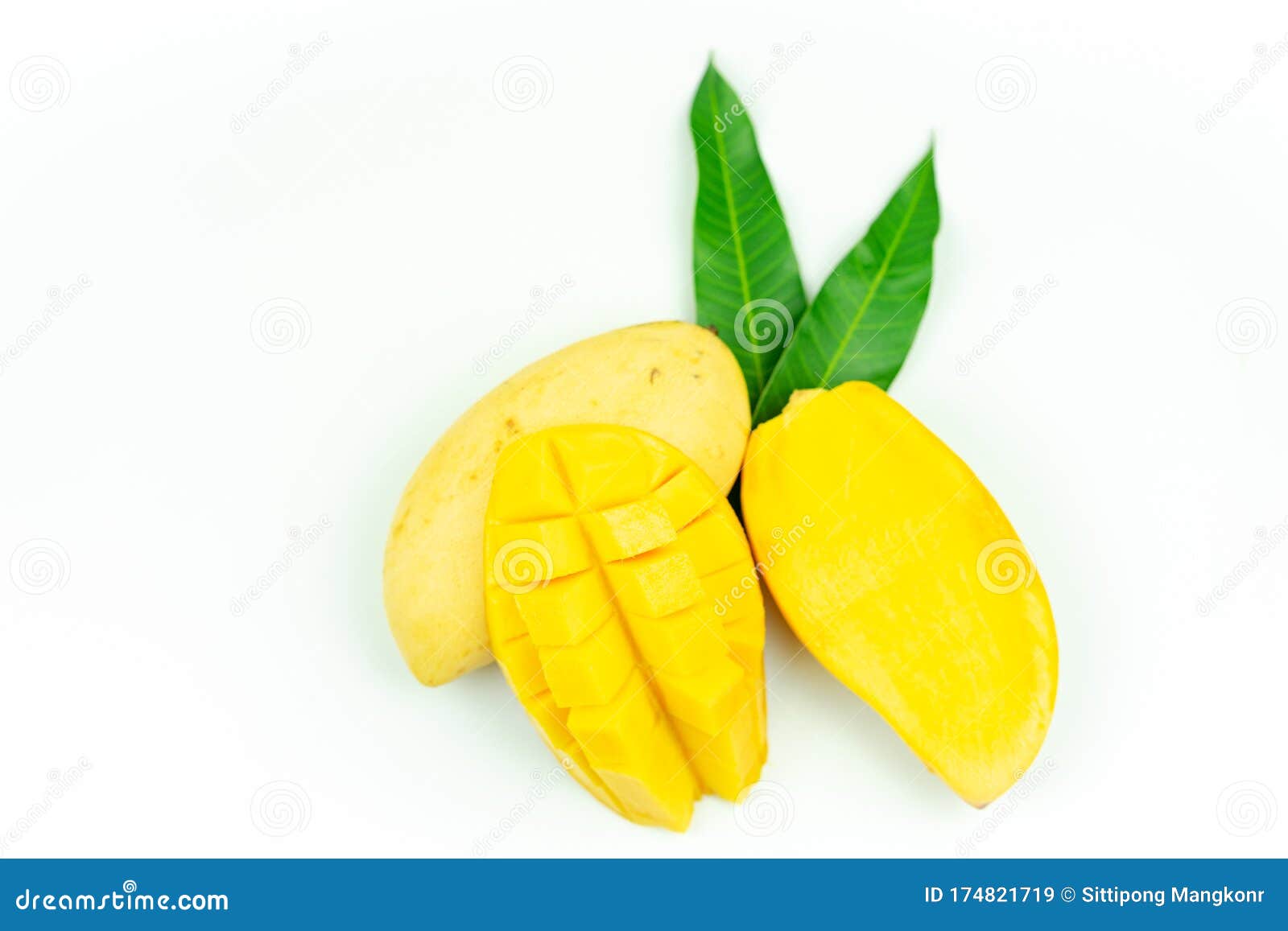 Mango Shoots in White Background. Stock Image - Image of nature, food ...