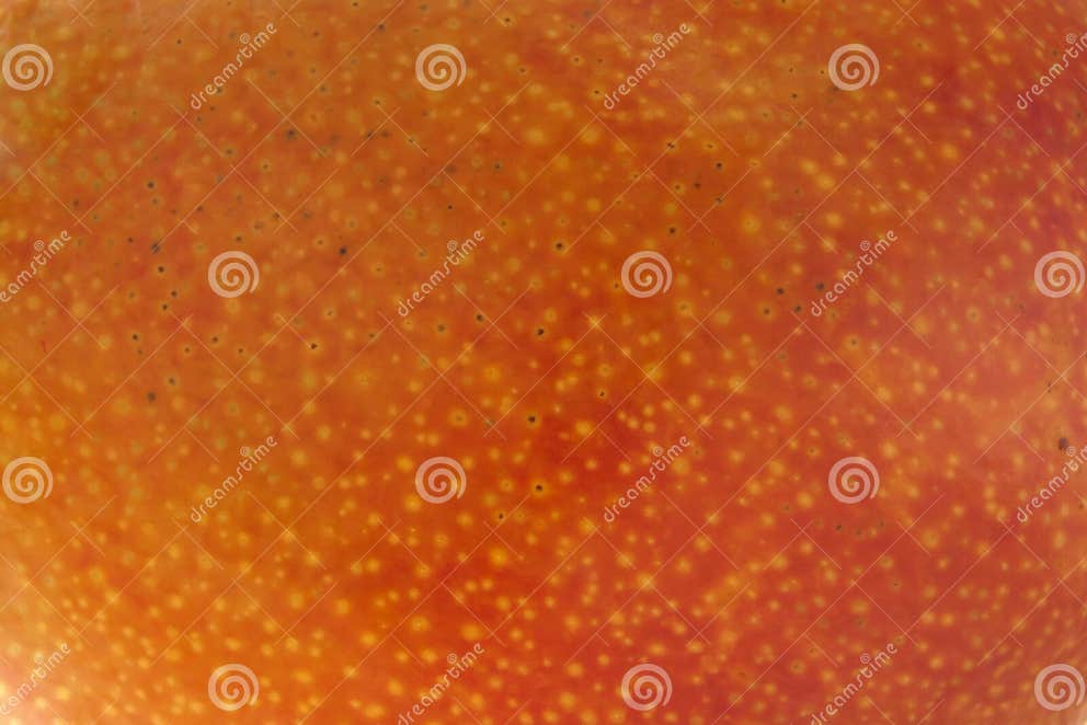 Mango skin stock photo. Image of fresh, close, food, yellow - 52784810