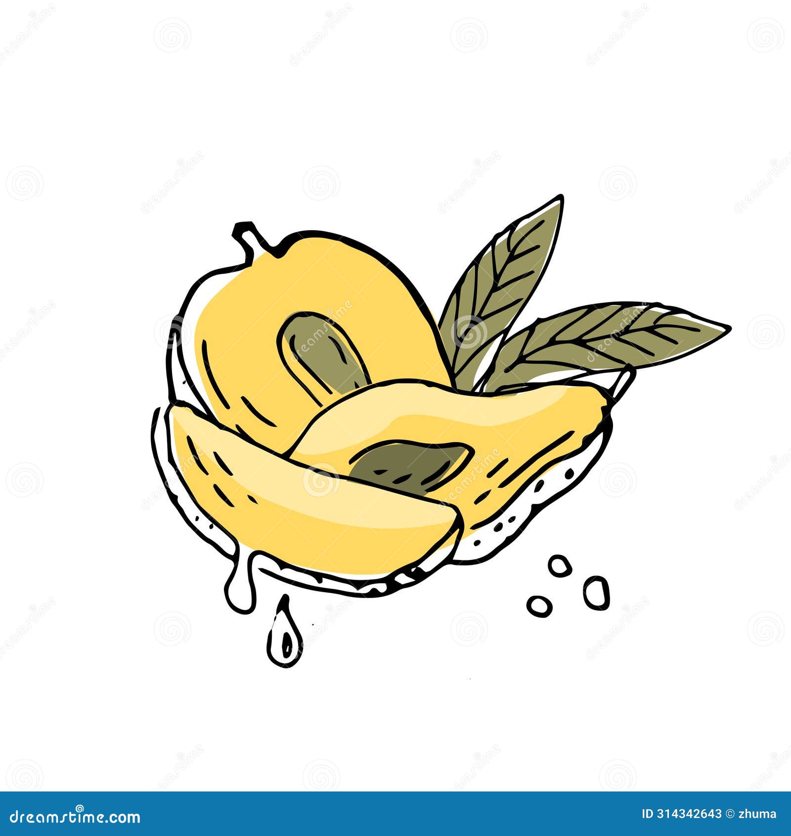 Mango Sliced and Half Fruit Ink Sketch Illustration Stock Vector ...