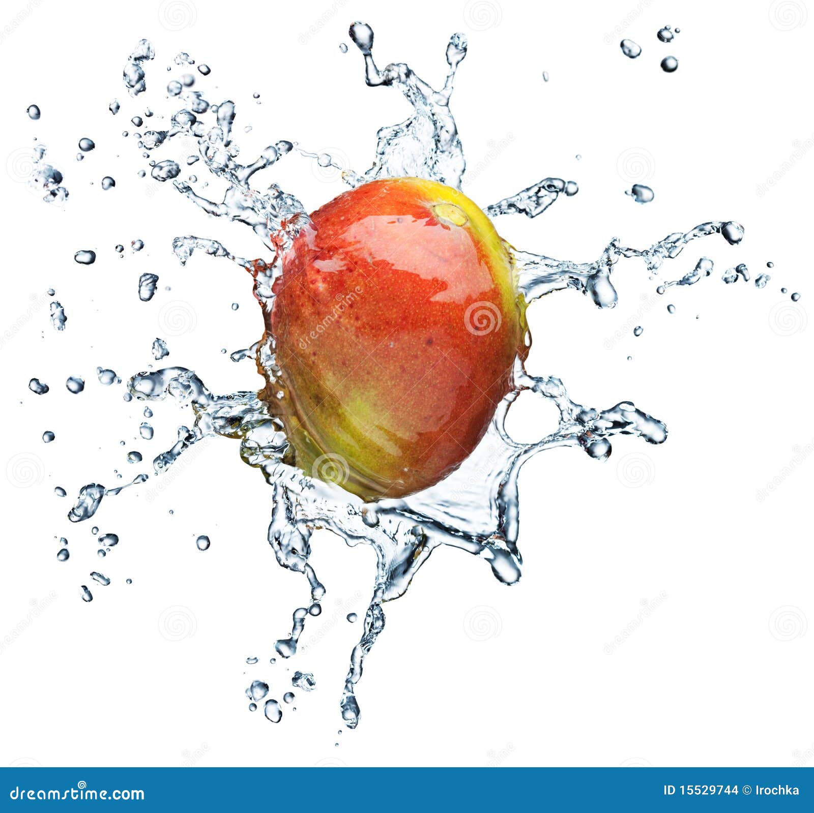 Mango splashing in water stock photo. Image of closeup - 15529744