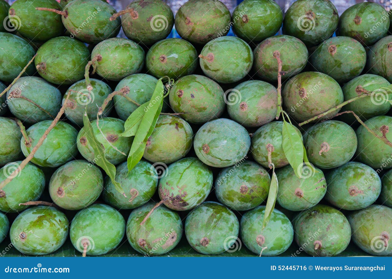 Mango stack on the market. stock photo. Image of fruit - 52445716