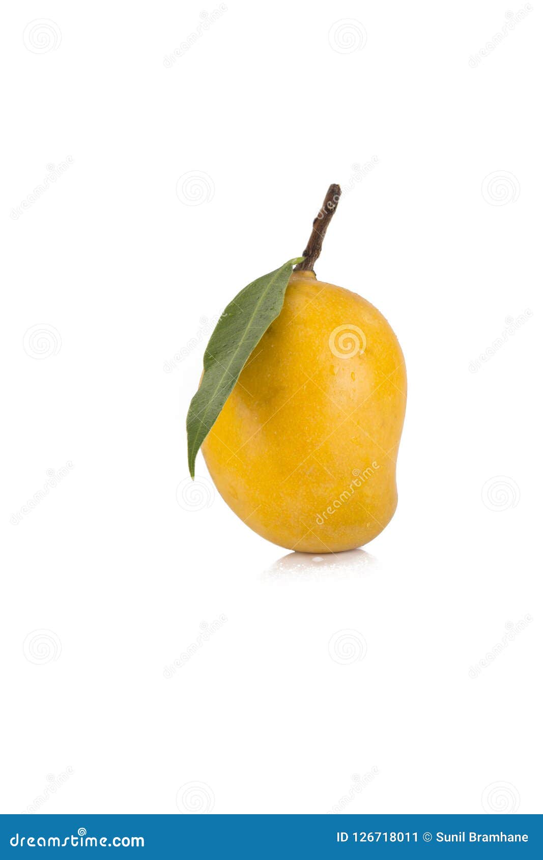 Mango with Stem and Leaf on White Background Stock Image - Image of ...