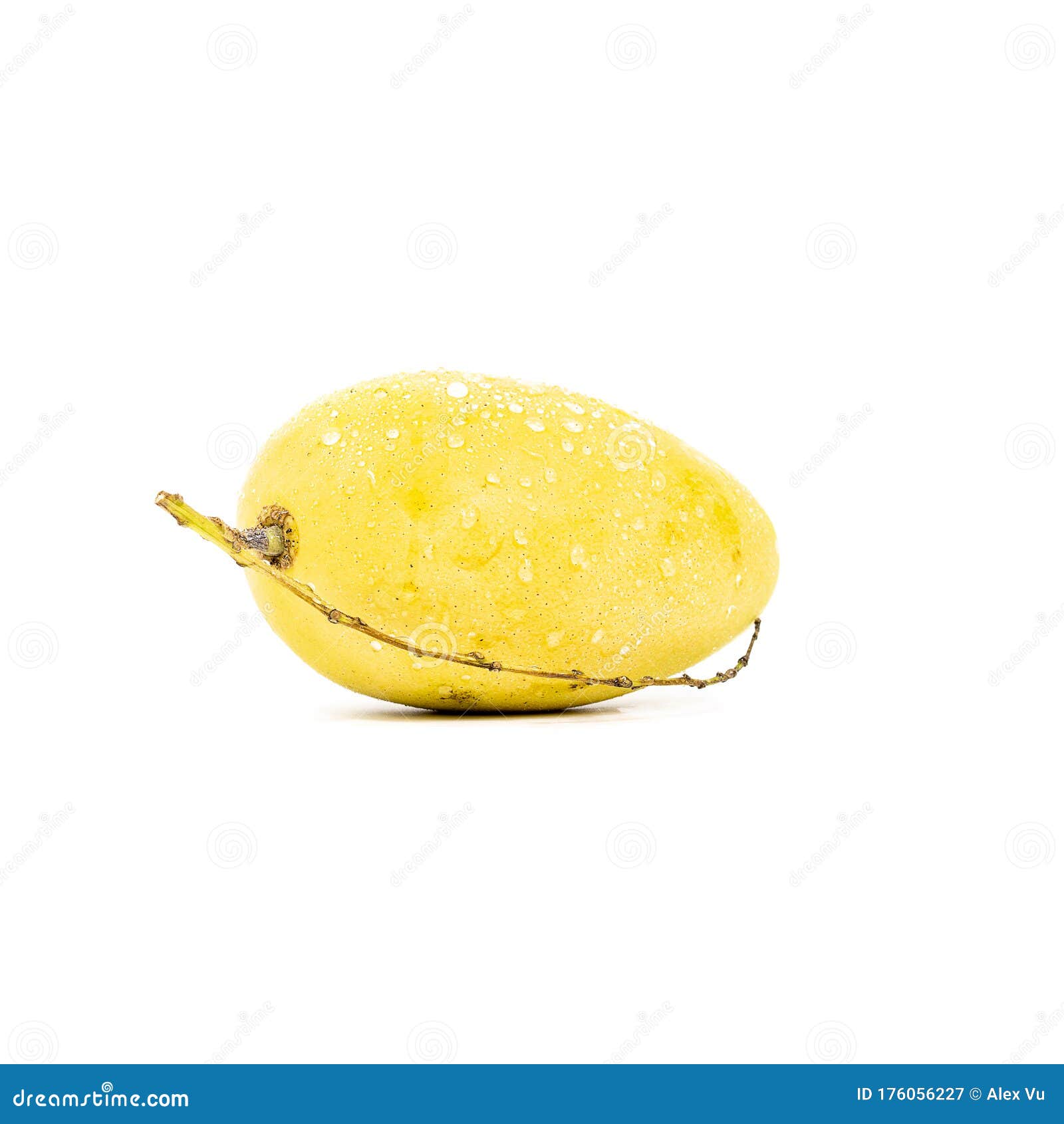 Mango stock image. Image of cubes, salsa, fruit, clean - 176056227