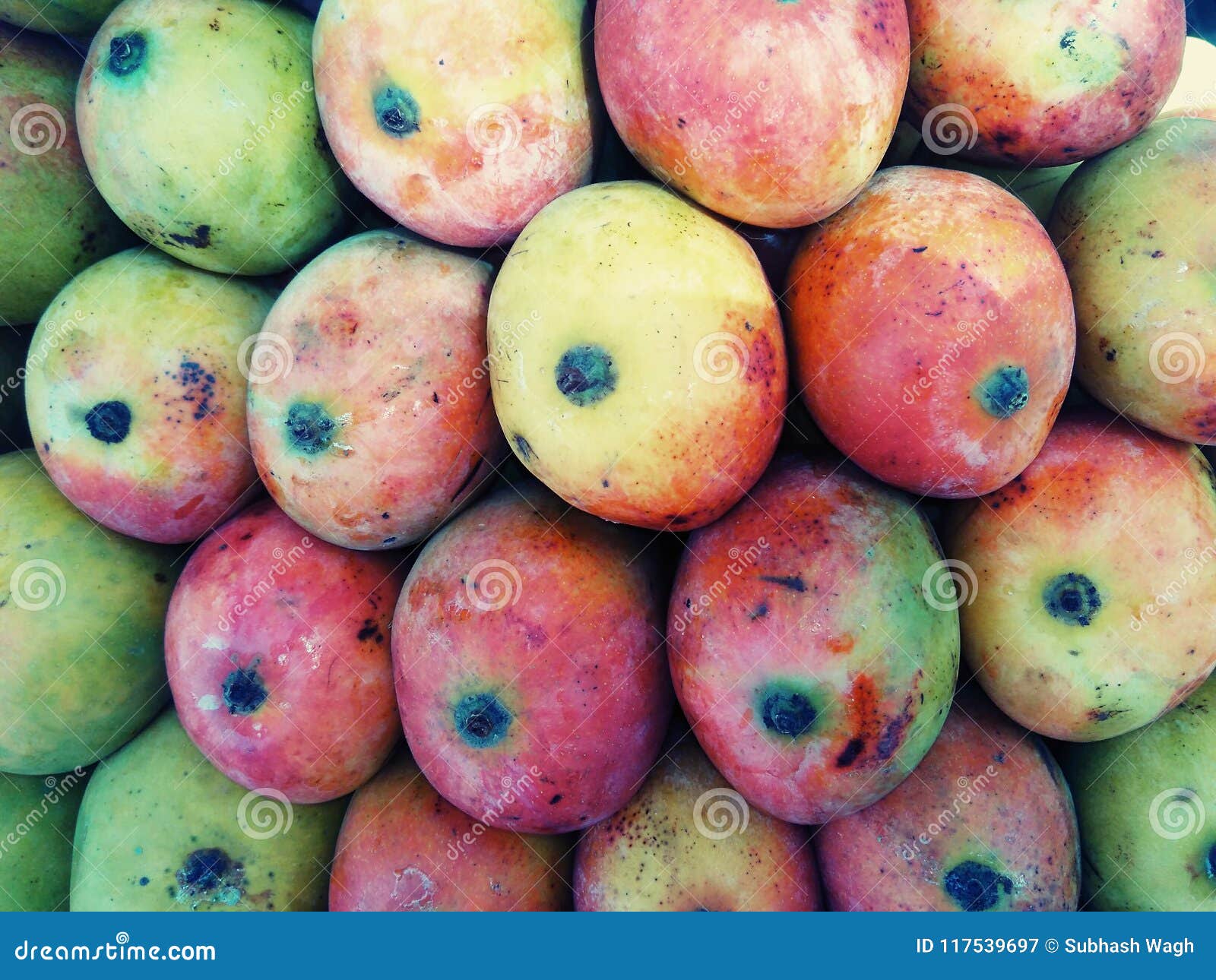 Mango stock image. Image of pink, mangoes, colorful - 117539697