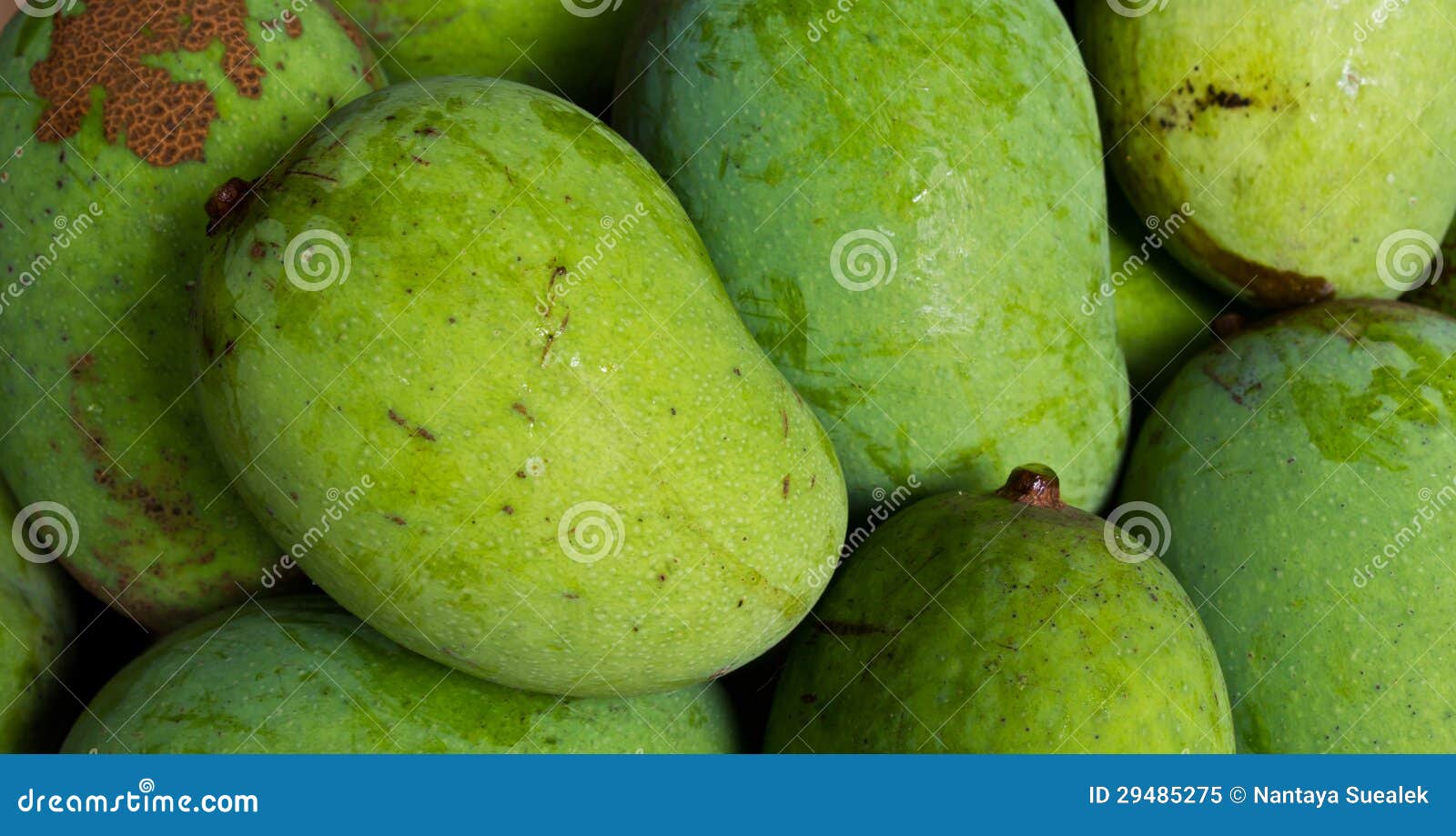 Mango in Thailand stock image. Image of asia, seasonal - 29485275