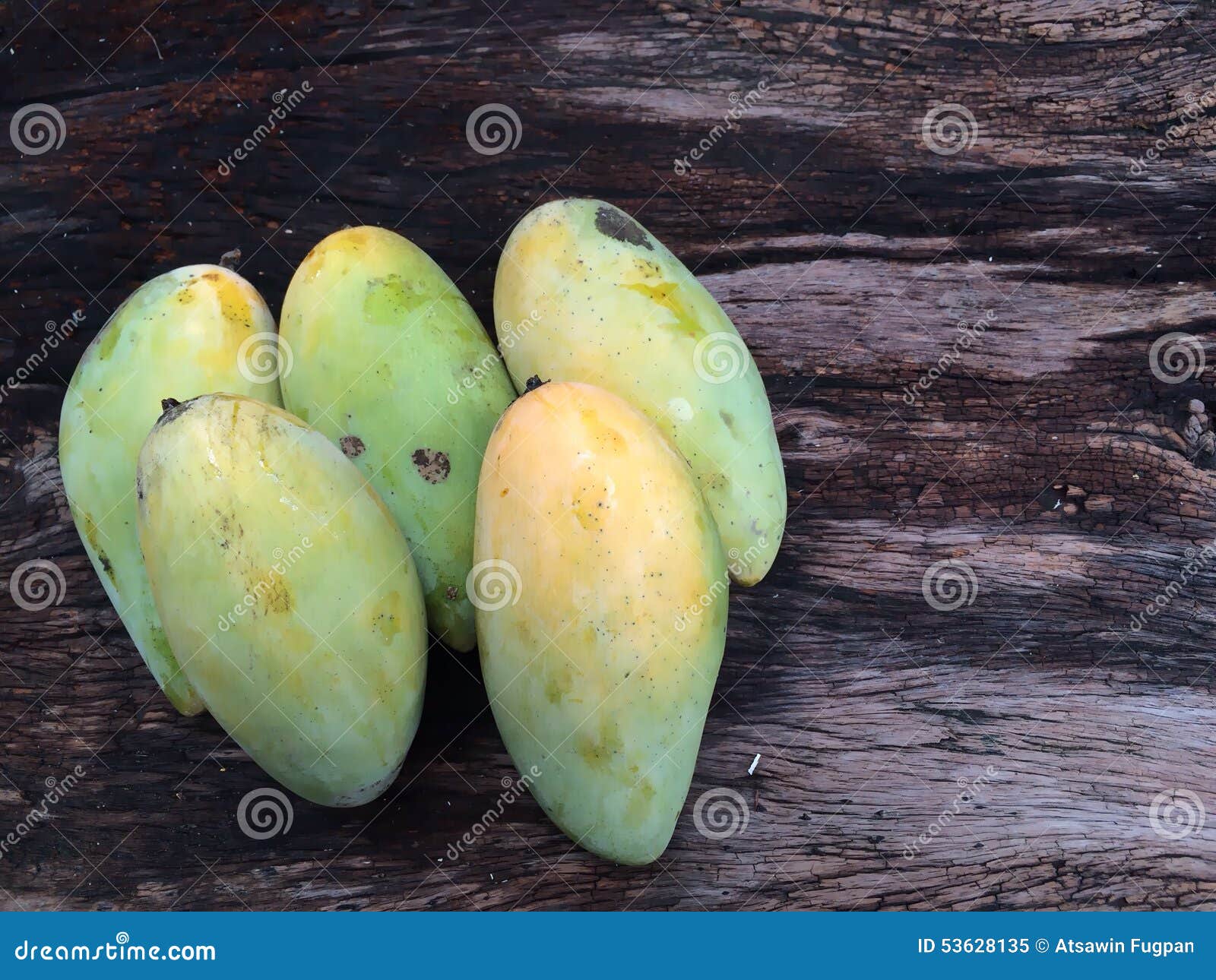 Mango stock image. Image of thailand, mangoes, mango - 53628135