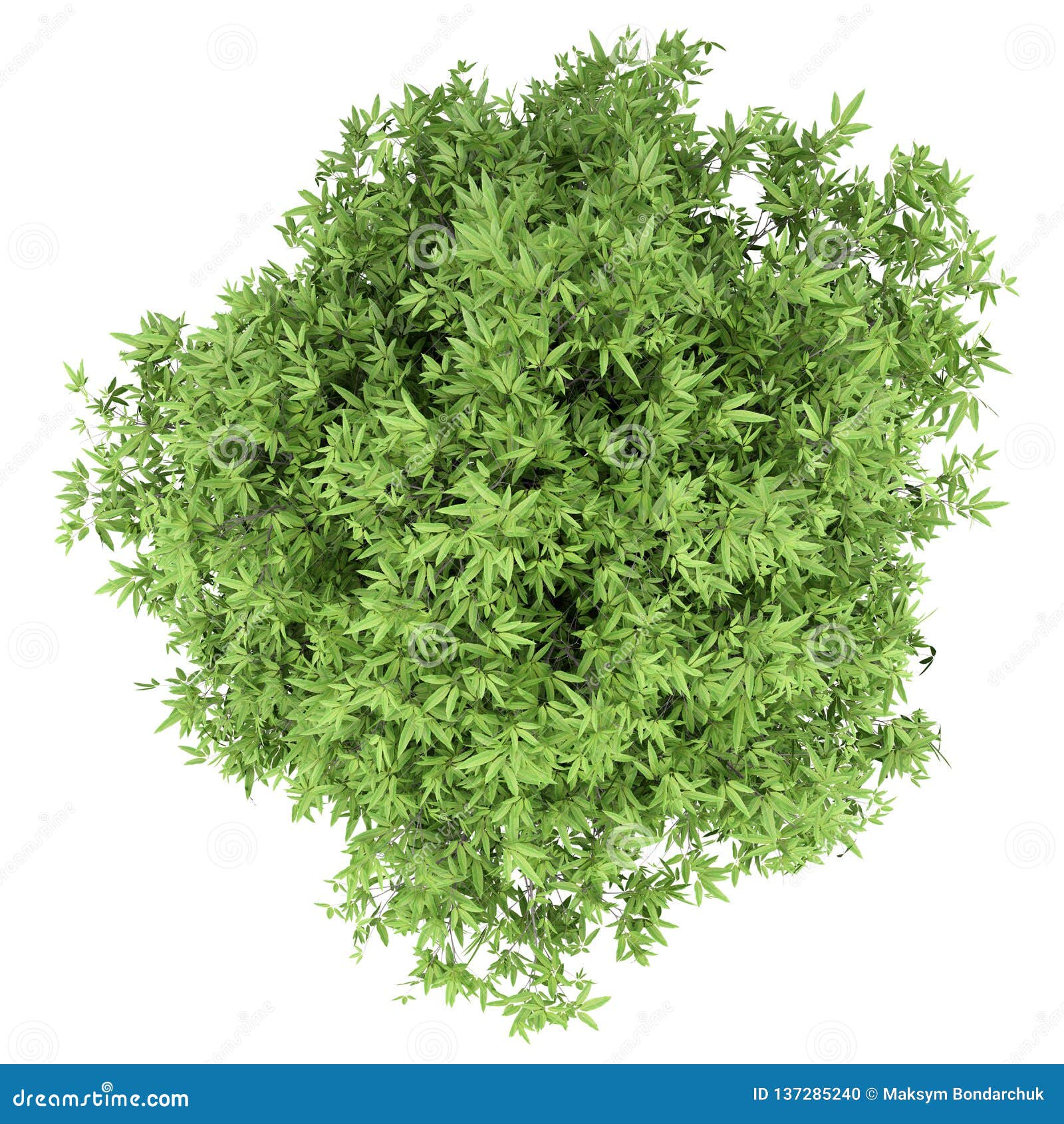 The Mango And Tree With Big Branch And Element Of Leaf And Many Product ...