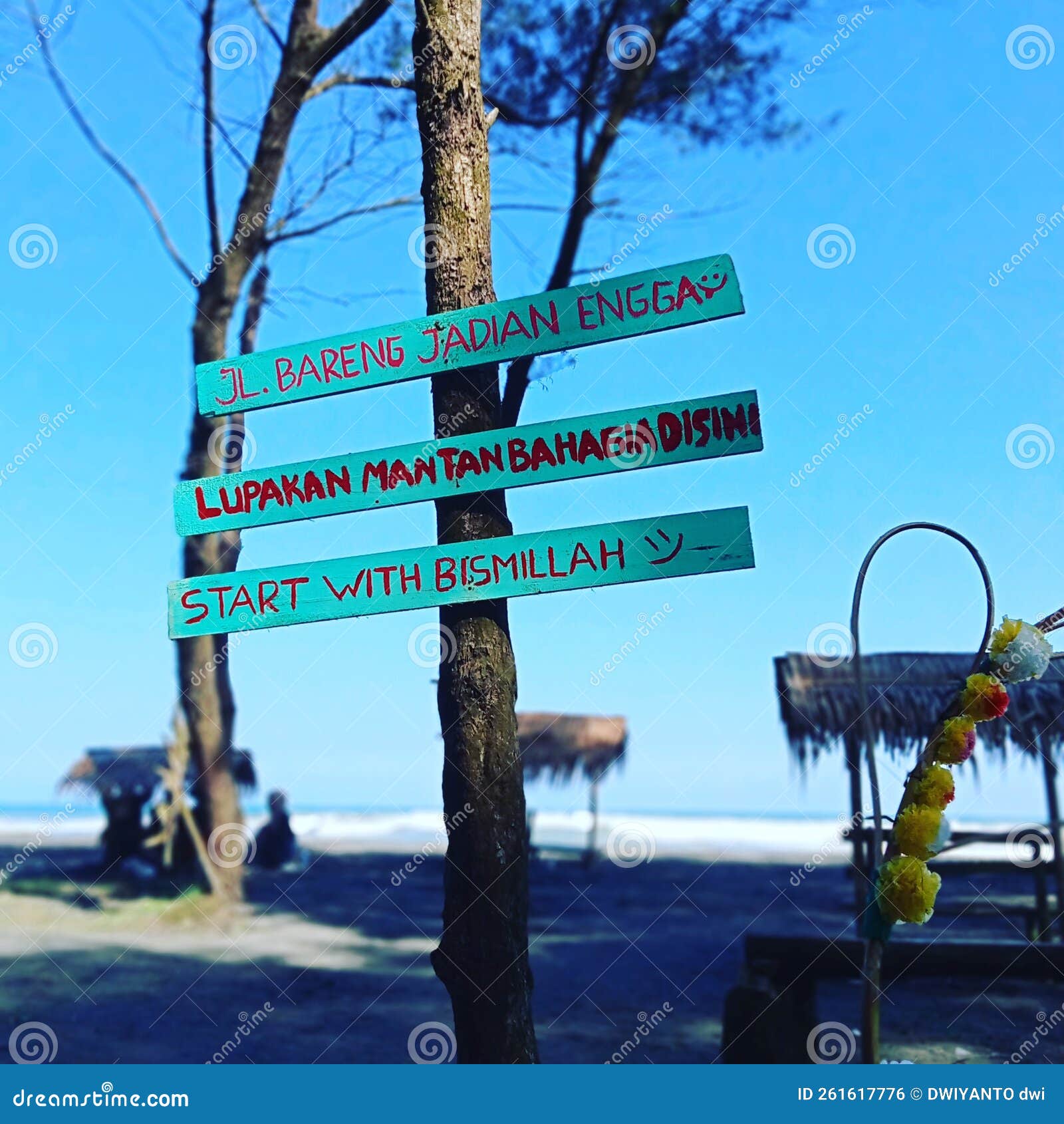 Mango tree at night stock photo. Image of brand, sign - 261617776