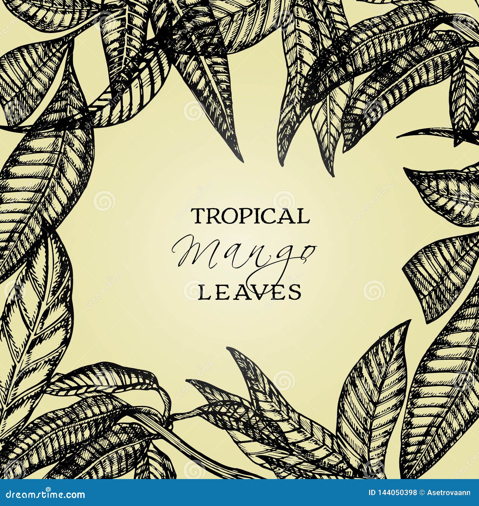 Mango Tree Vintage Design Template. Botanical Mango Fruit Frame ...