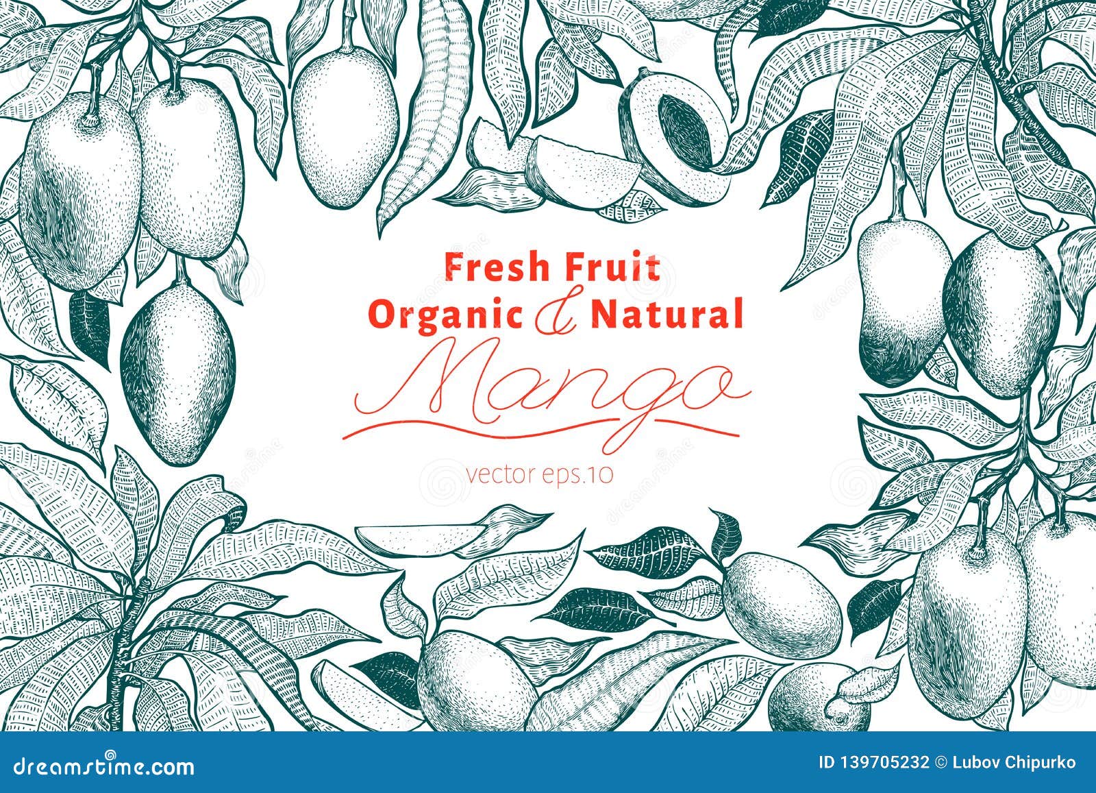 Mango Tree Vintage Design Template. Botanical Mango Fruit Frame ...