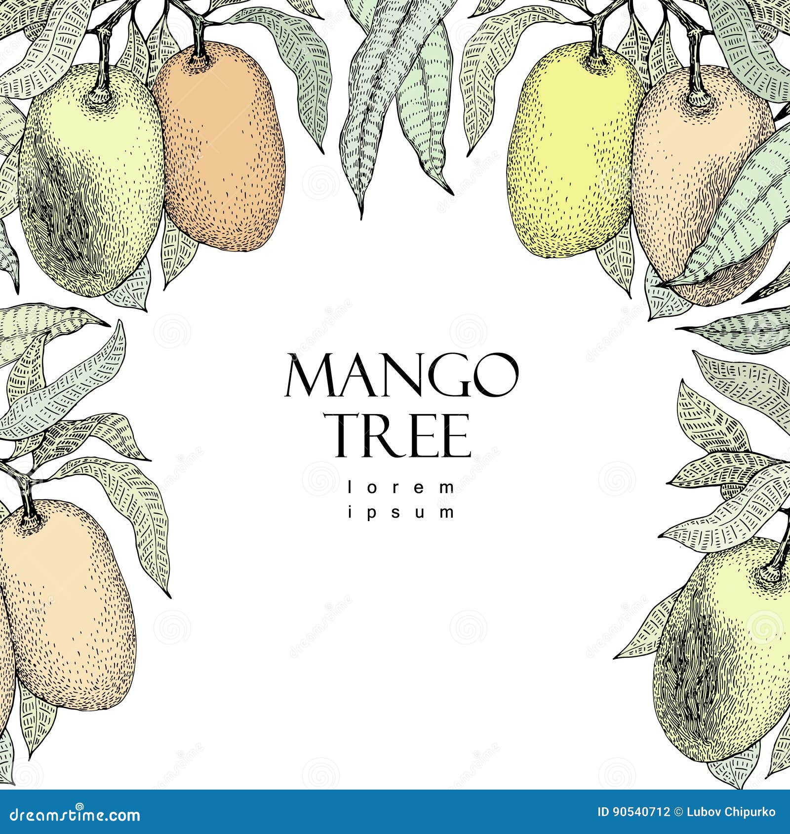 Mango Tree Vintage Design Template. Botanical Mango Fruit Frame ...