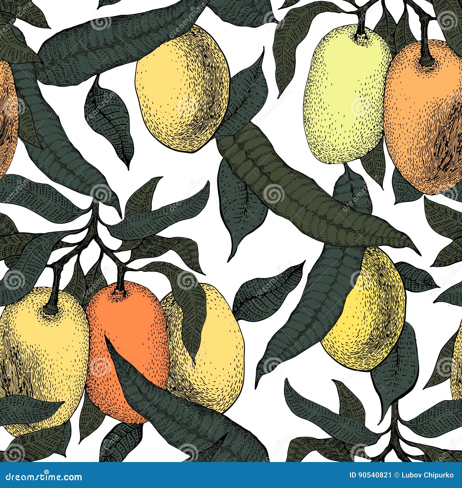 Mango Tree Vintage Seamless Pattern. Botanical Fruit Background ...