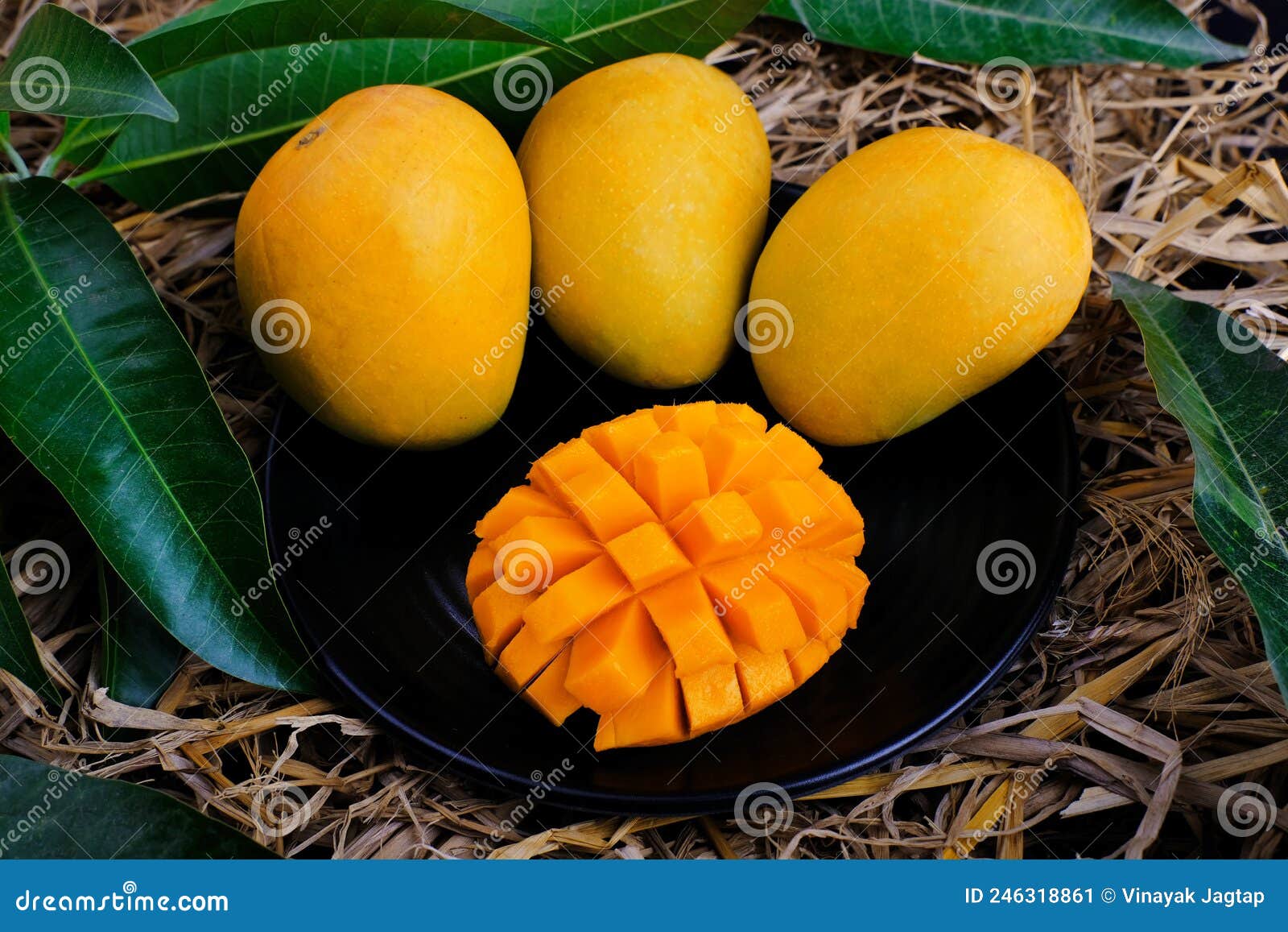 Mango Tropical Fruit with Green Leaf, Ripe Mango in Grass Closeup Stock ...