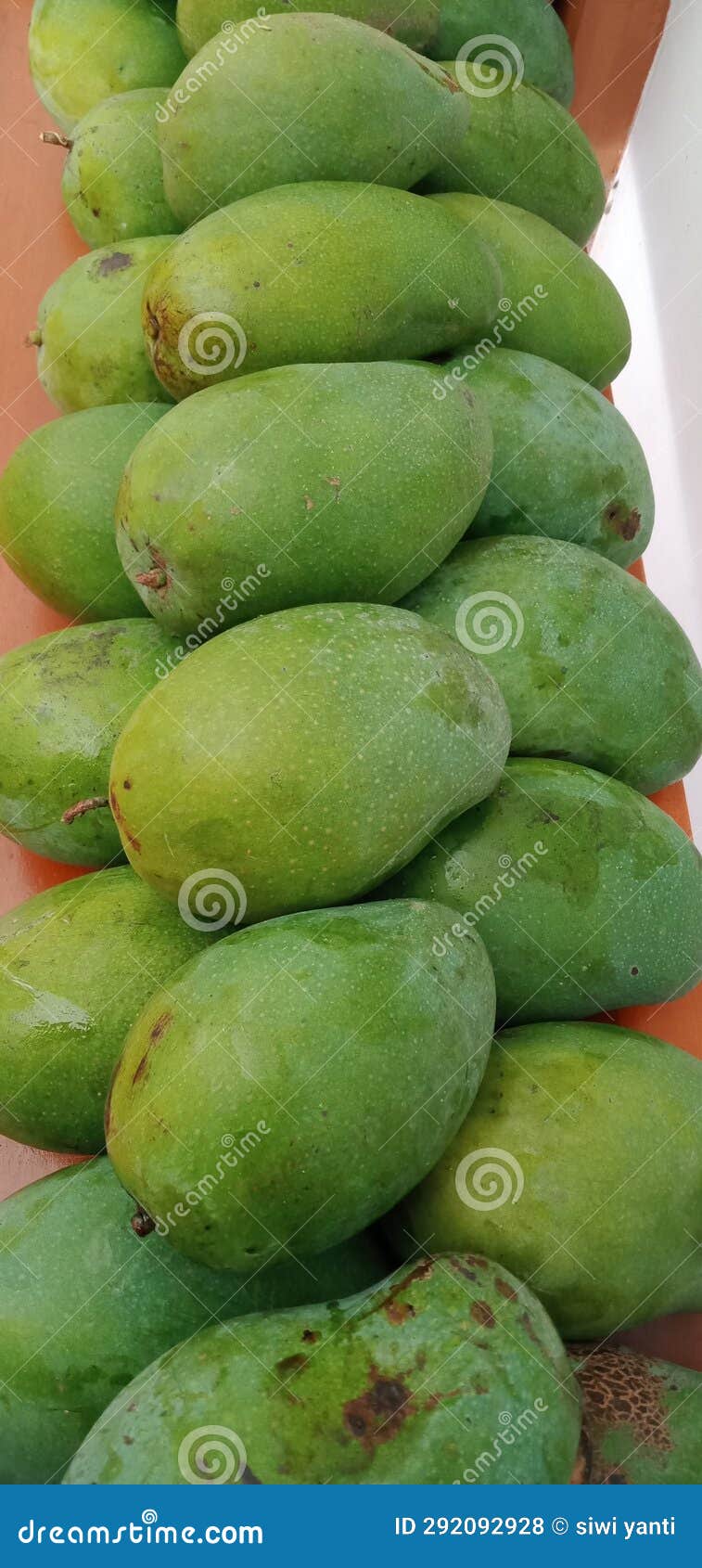 Mango is a Tropical Fruit from Indonesia Stock Photo - Image of salad ...