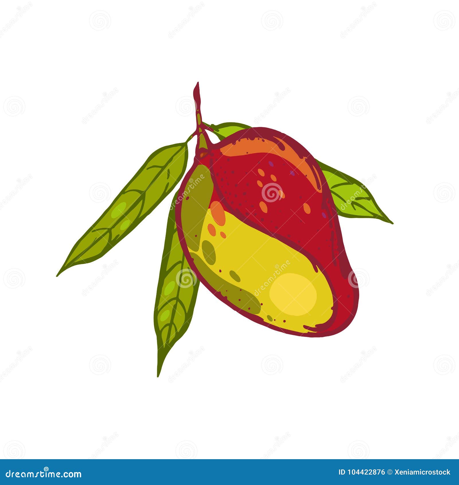 Mango Tropical Fruit. Label. Hand Drawn Design Elements Stock Vector ...