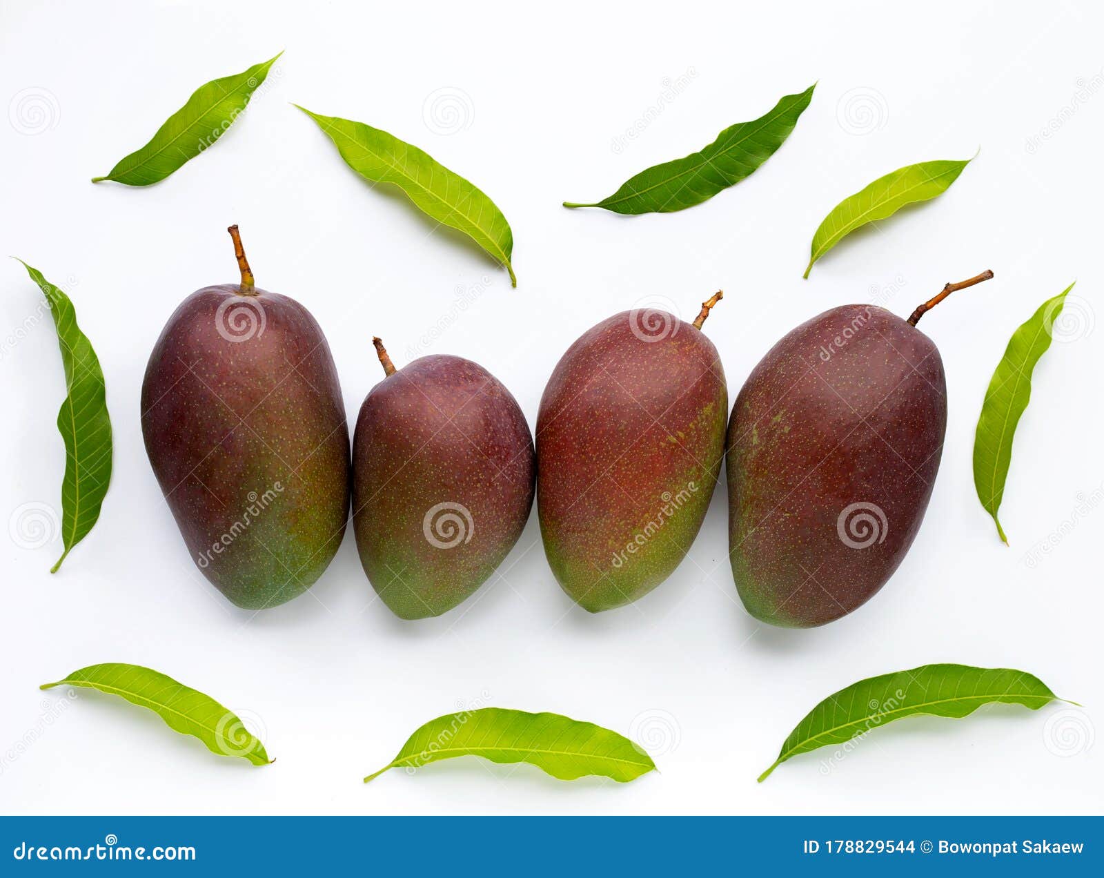 Mango, Tropical Fruit with Leaves on White Stock Photo - Image of juicy ...