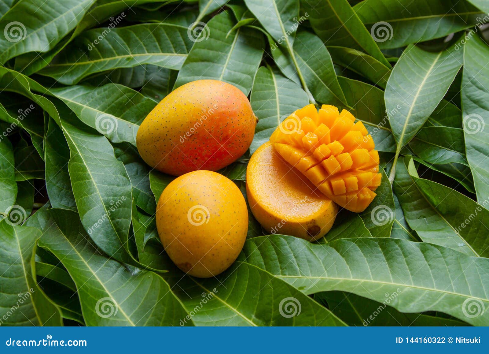 Mango Tropical Fruit And Sticky Rice With Coconut Juice. Thai Dessert ...