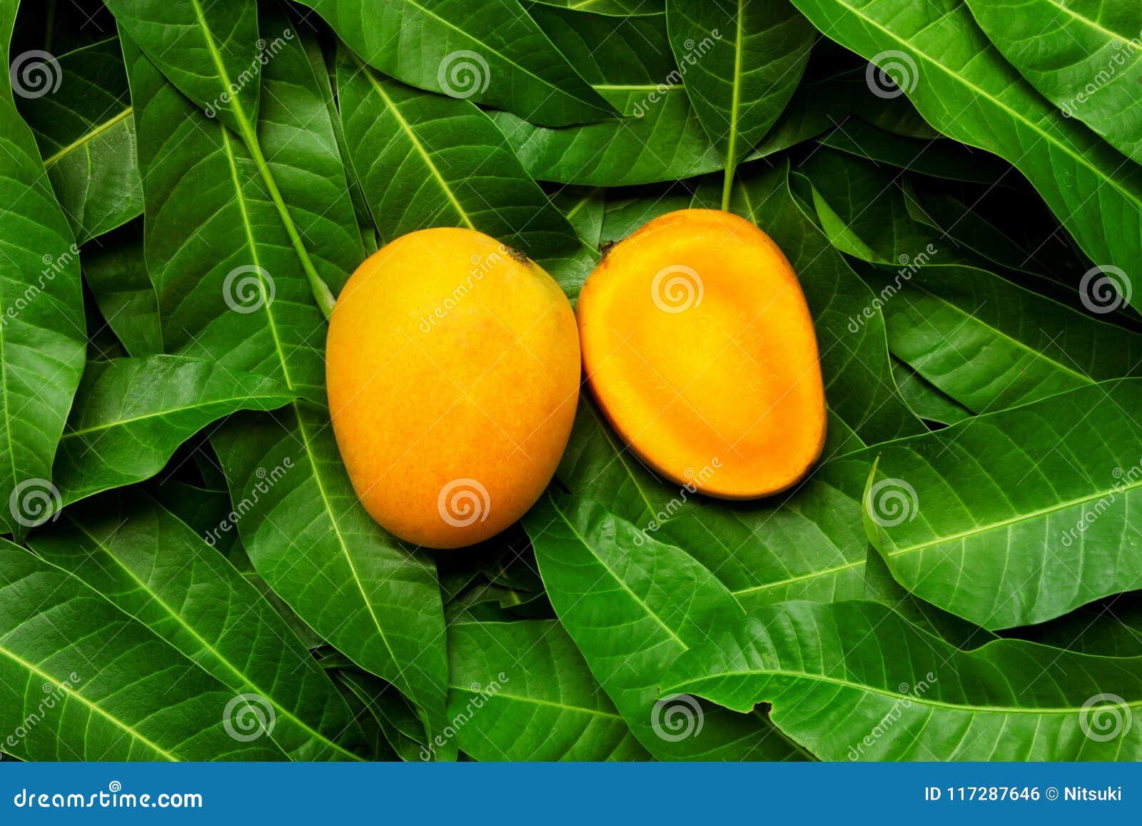 Mango Tropisch Fruit Op Groene Bladachtergrond Stock Foto - Image of ...