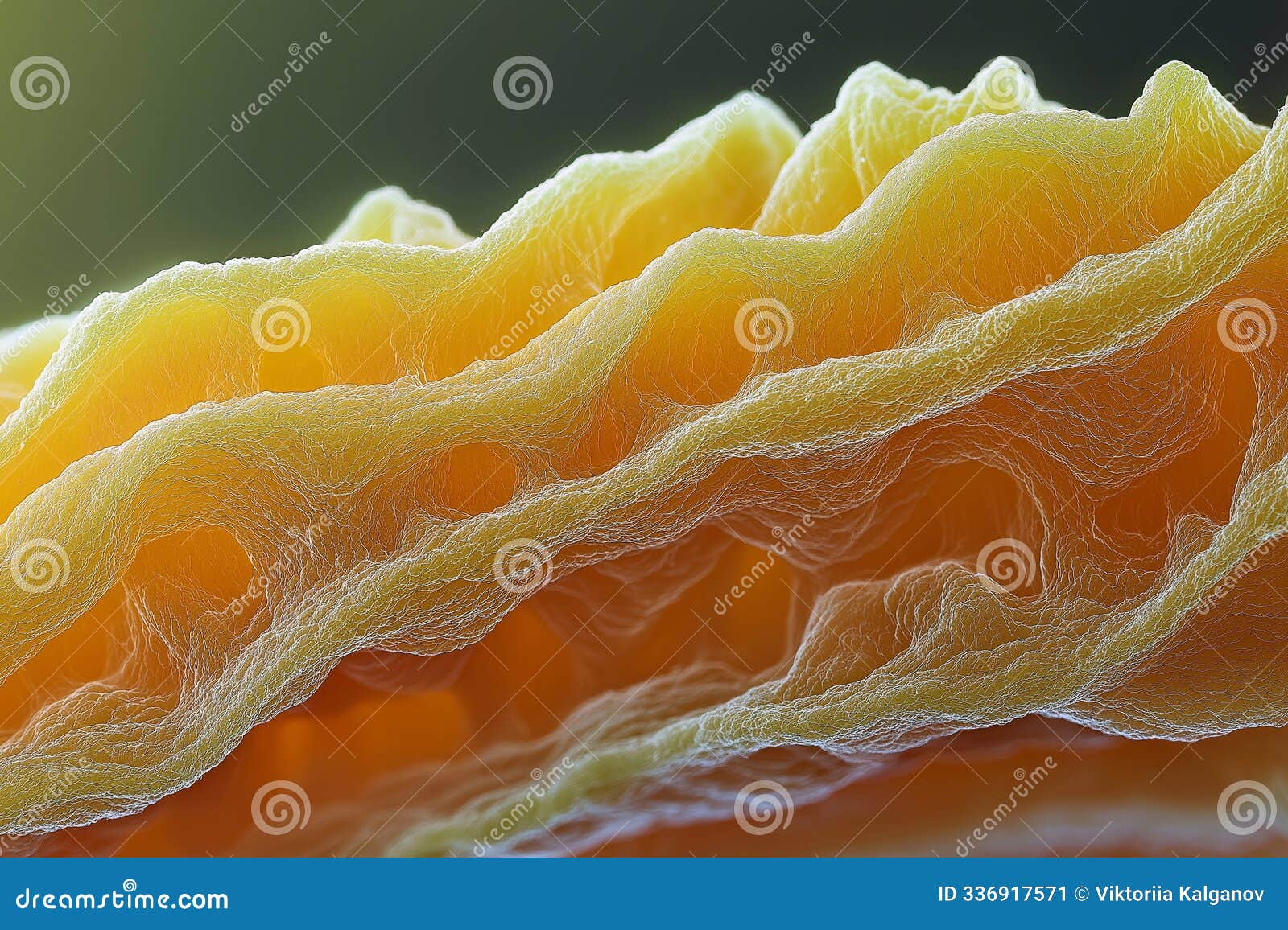 Mango Fiber Under the Microscope Stock Image - Image of multi, abstract ...