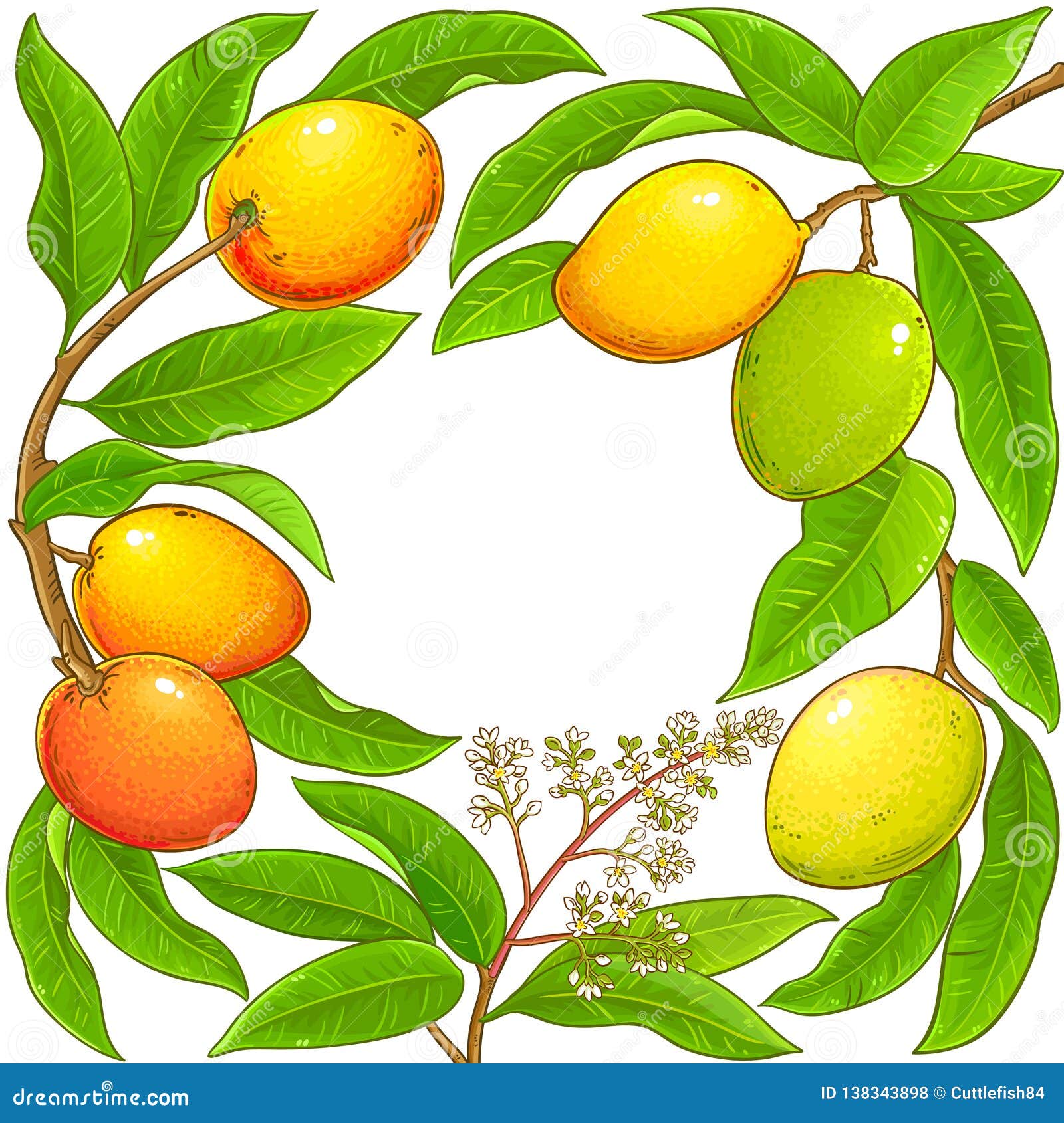 Mango vector frame stock vector. Illustration of frame - 138343898