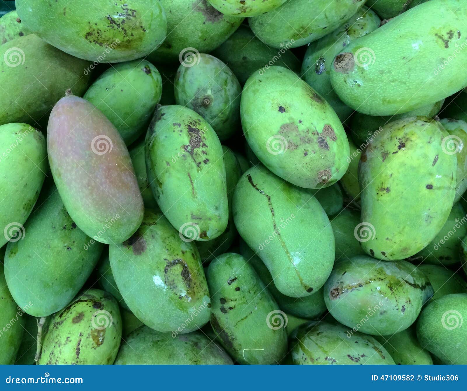 Mango verde foto de archivo. Imagen de fresco, dulce - 47109582