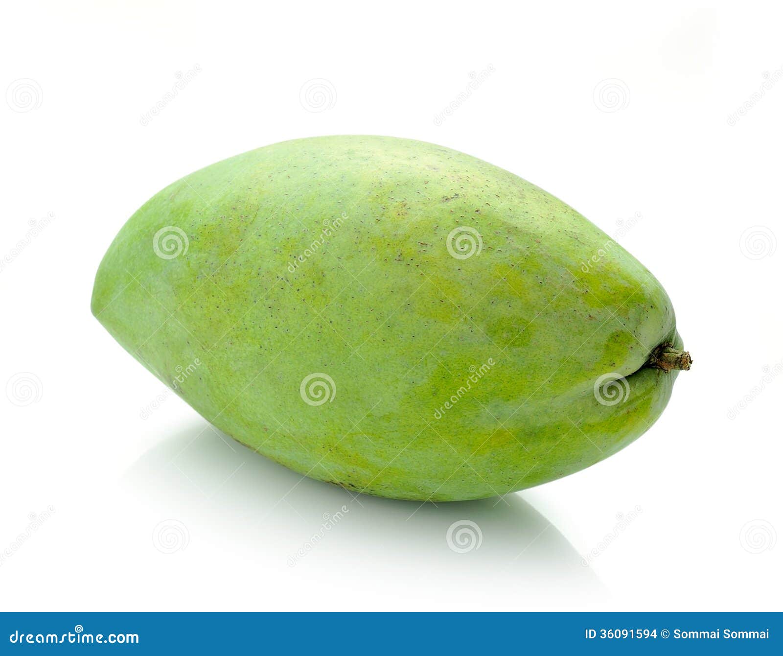 Mango Verde En Un Fondo Blanco Foto de archivo - Imagen de sano ...