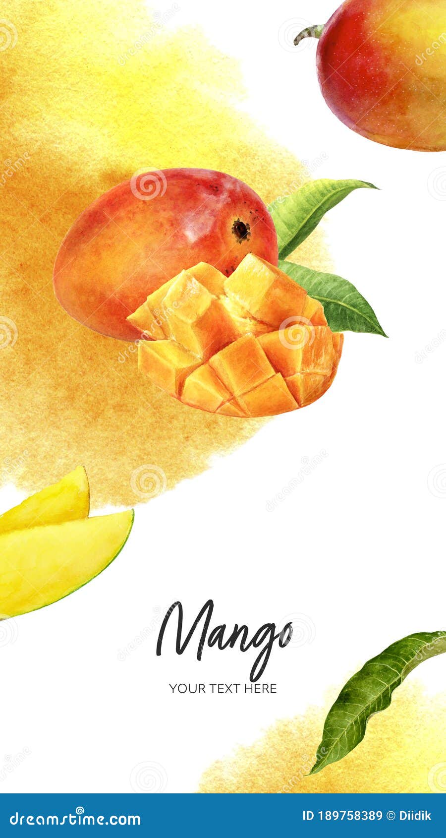 Mango Vertical Banner Composition Watercolor Hand Drawn Illustration ...