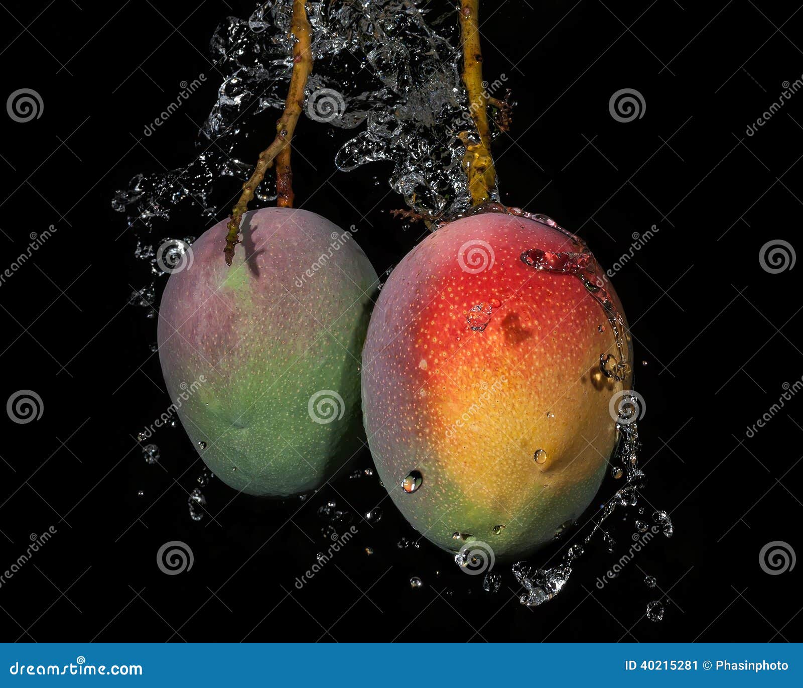 Mango with water splash stock image. Image of mangoes - 40215281
