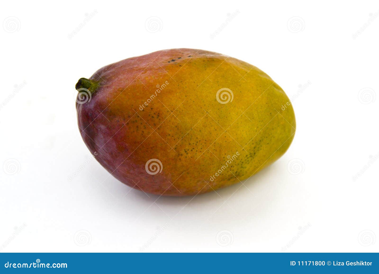 Mango on white background stock photo. Image of mango - 11171800