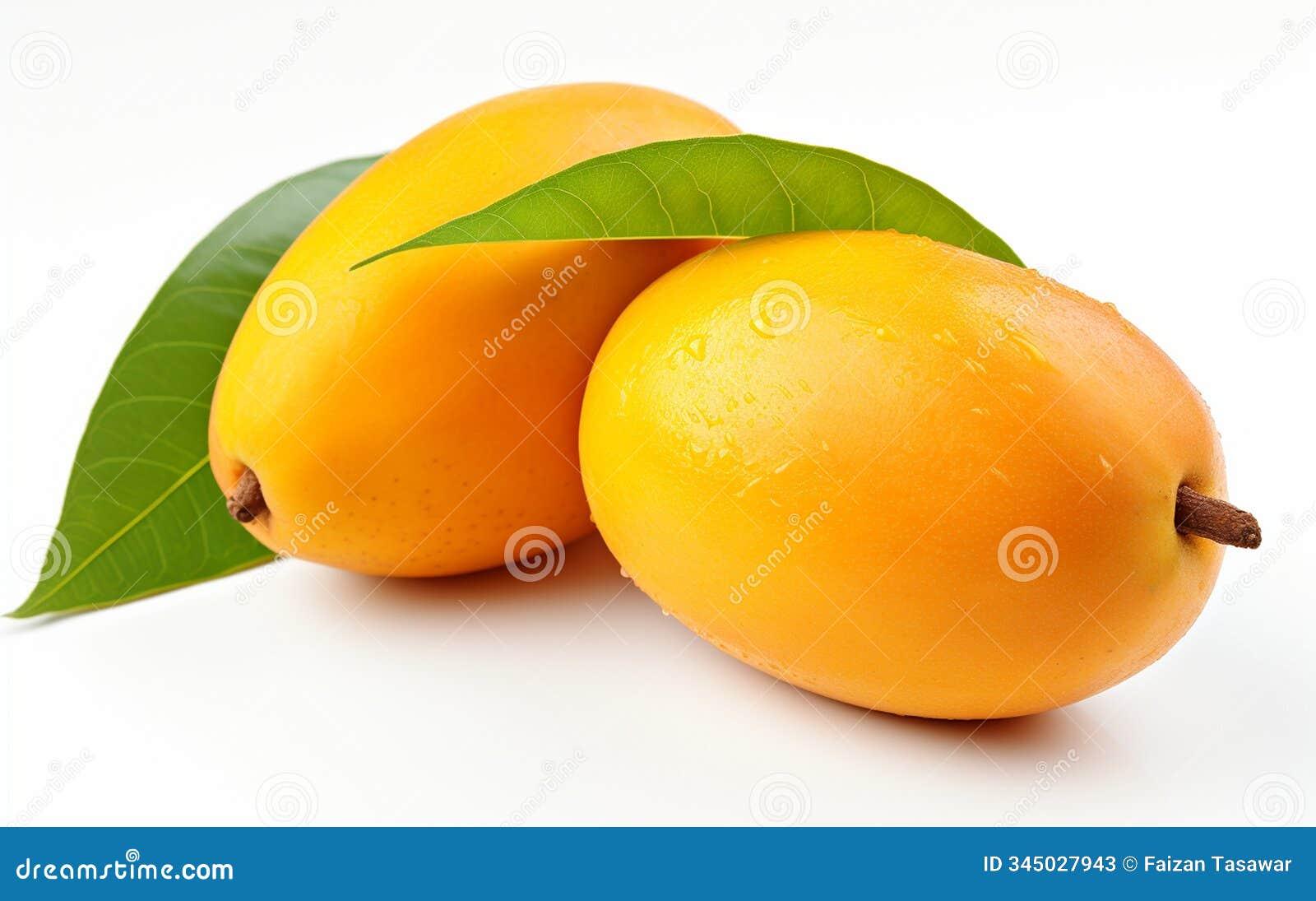 Mango White Background stock illustration. Illustration of organic ...