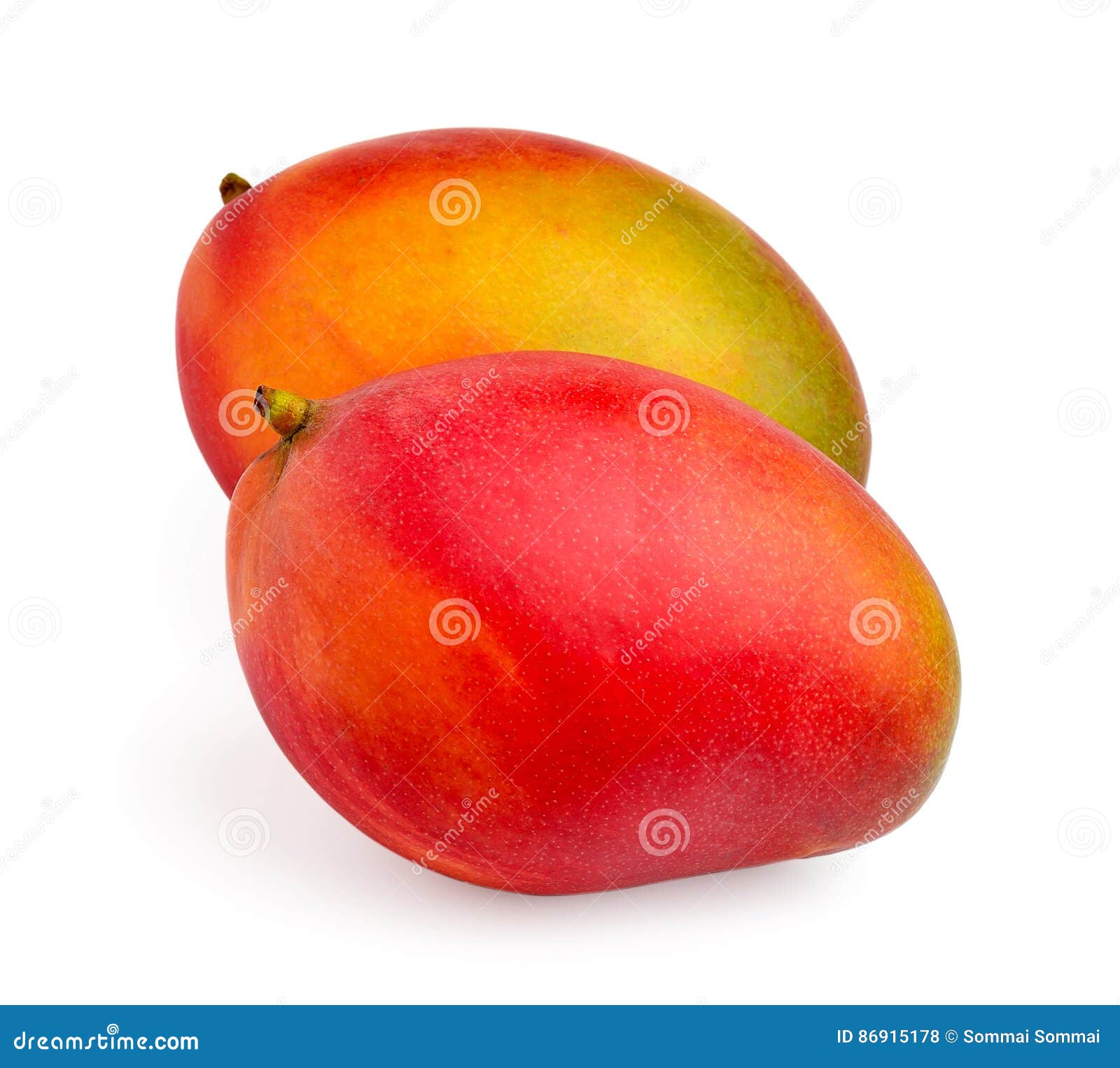 Mango on white background stock photo. Image of fruit - 86915178