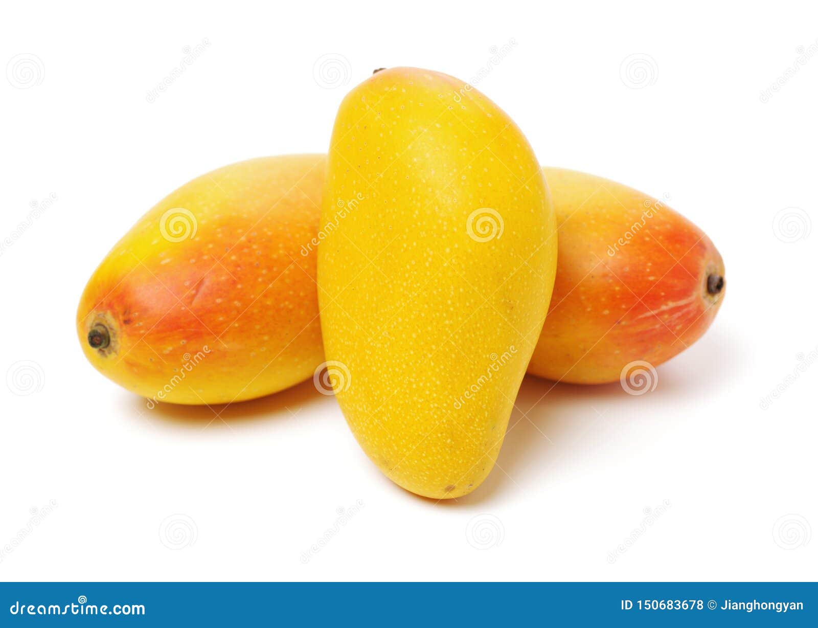 Mango on white background stock photo. Image of isolated - 150683678