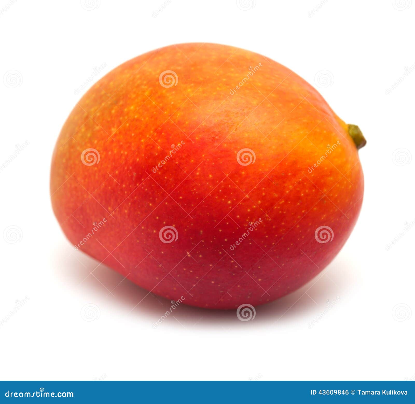 Mango on white stock photo. Image of seasonal, large - 43609846