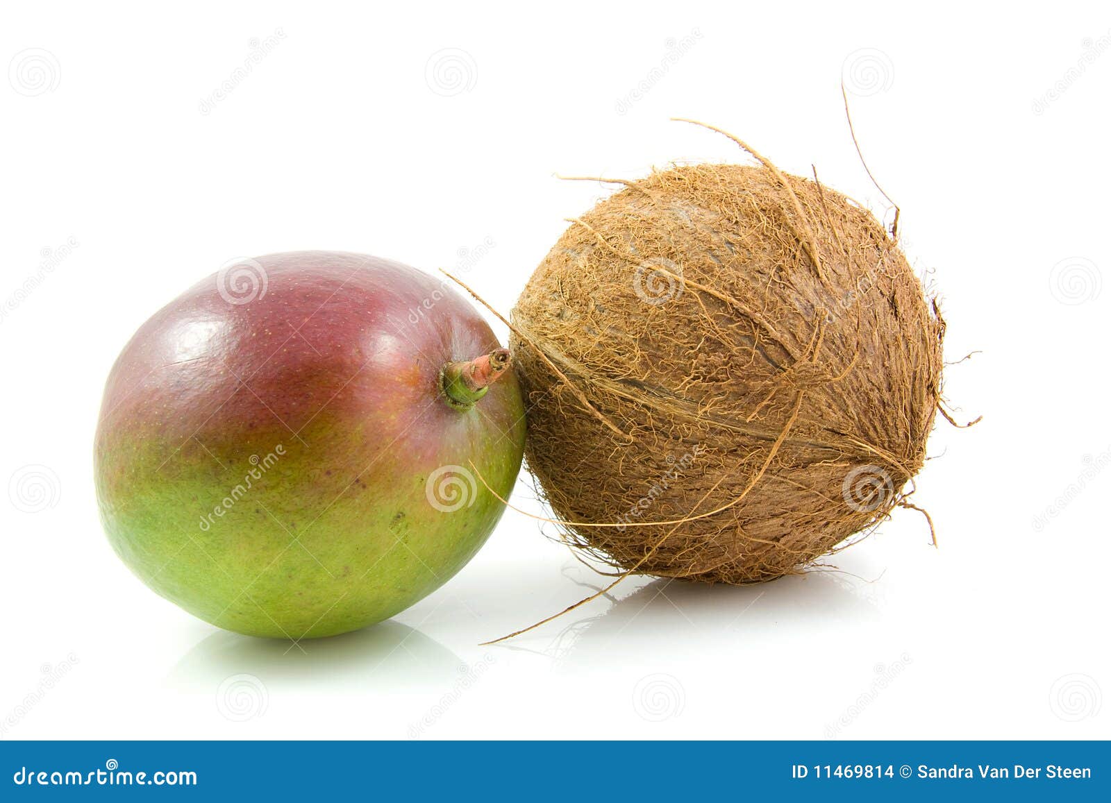 Mango y coco frescos foto de archivo. Imagen de aislado - 11469814