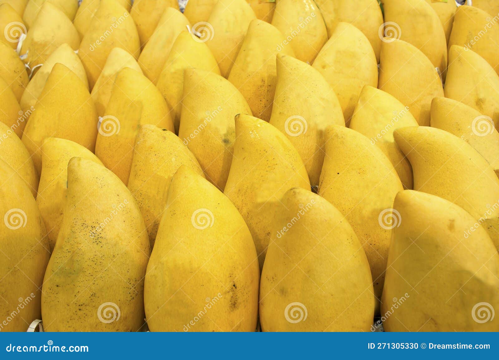 Mango yellow color stock photo. Image of juicy, closeup - 271305330