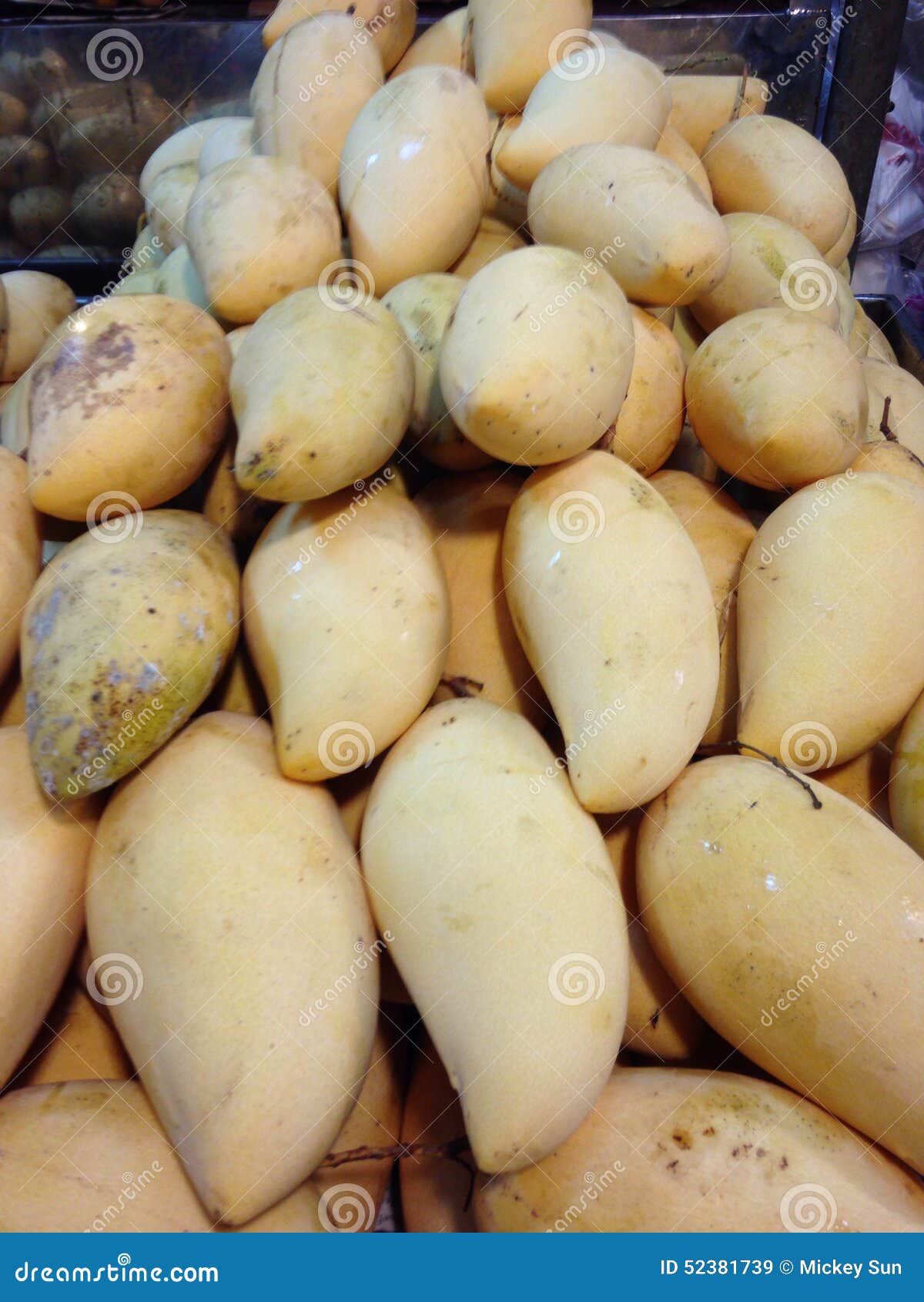 Mango stock image. Image of mangoes, fresh, market, mango - 52381739