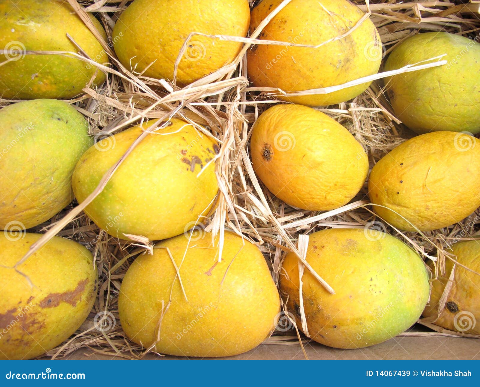 Mangoes stock image. Image of origin, mangoes, food, delicious - 14067439