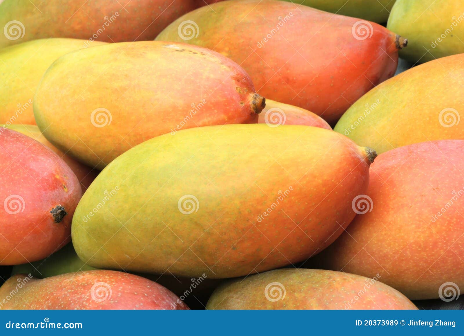 Mangoes stock image. Image of fruits, macro, fruit, fruitage - 20373989