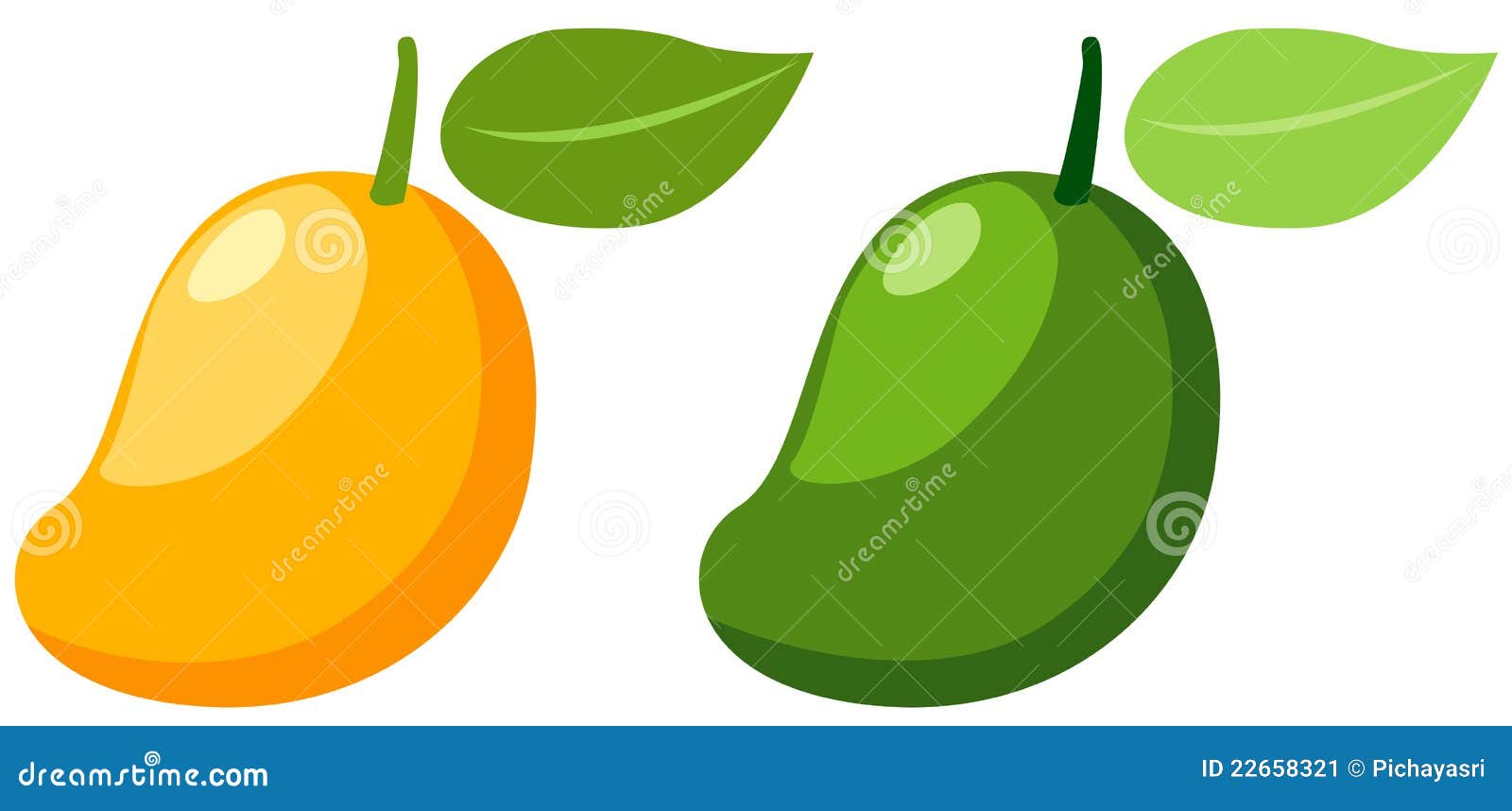 Raw Mangoes Stock Illustrations – 77 Raw Mangoes Stock Illustrations ...