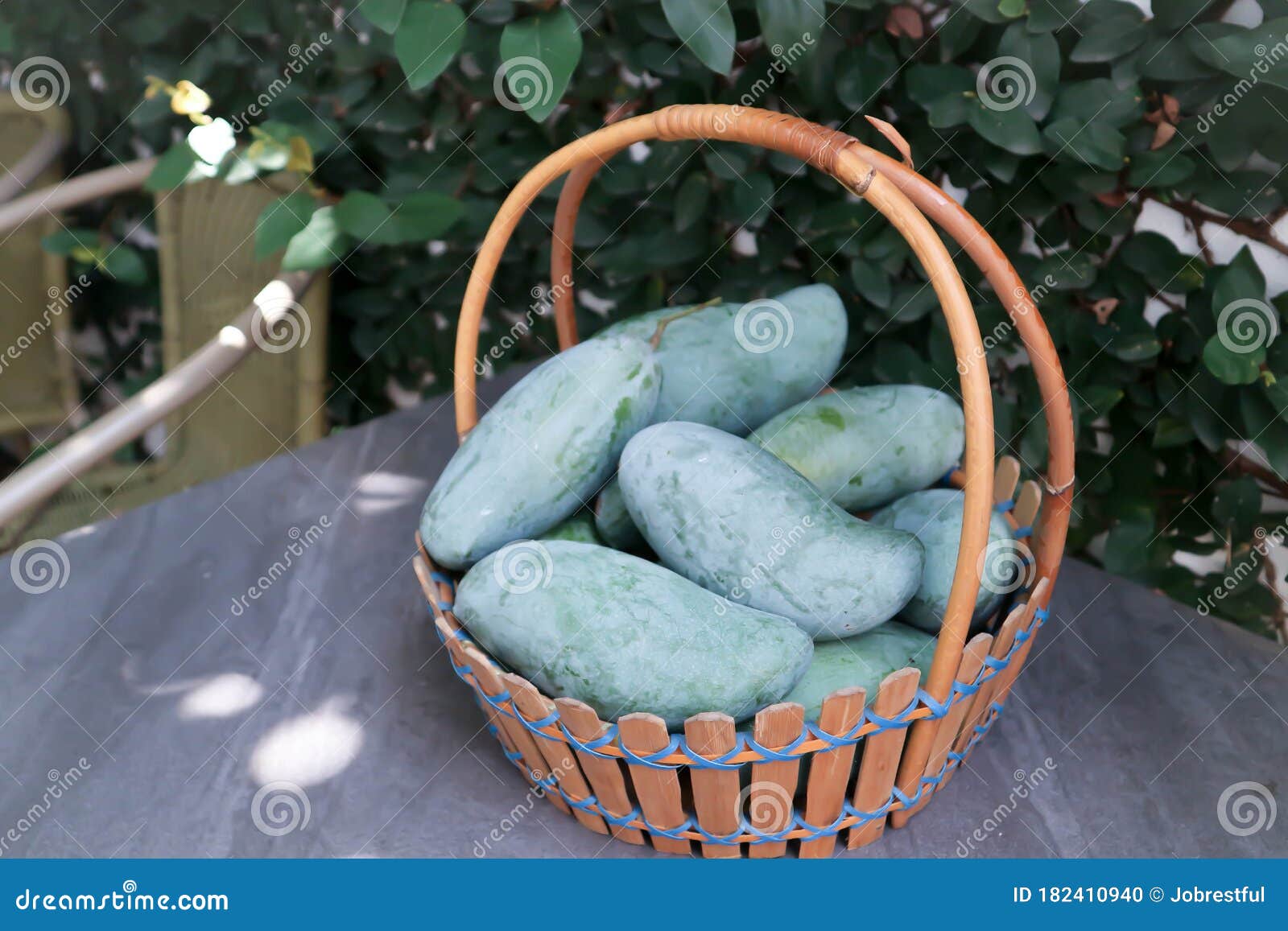 Mangoes in the basket stock photo. Image of nature, moraceae - 182410940