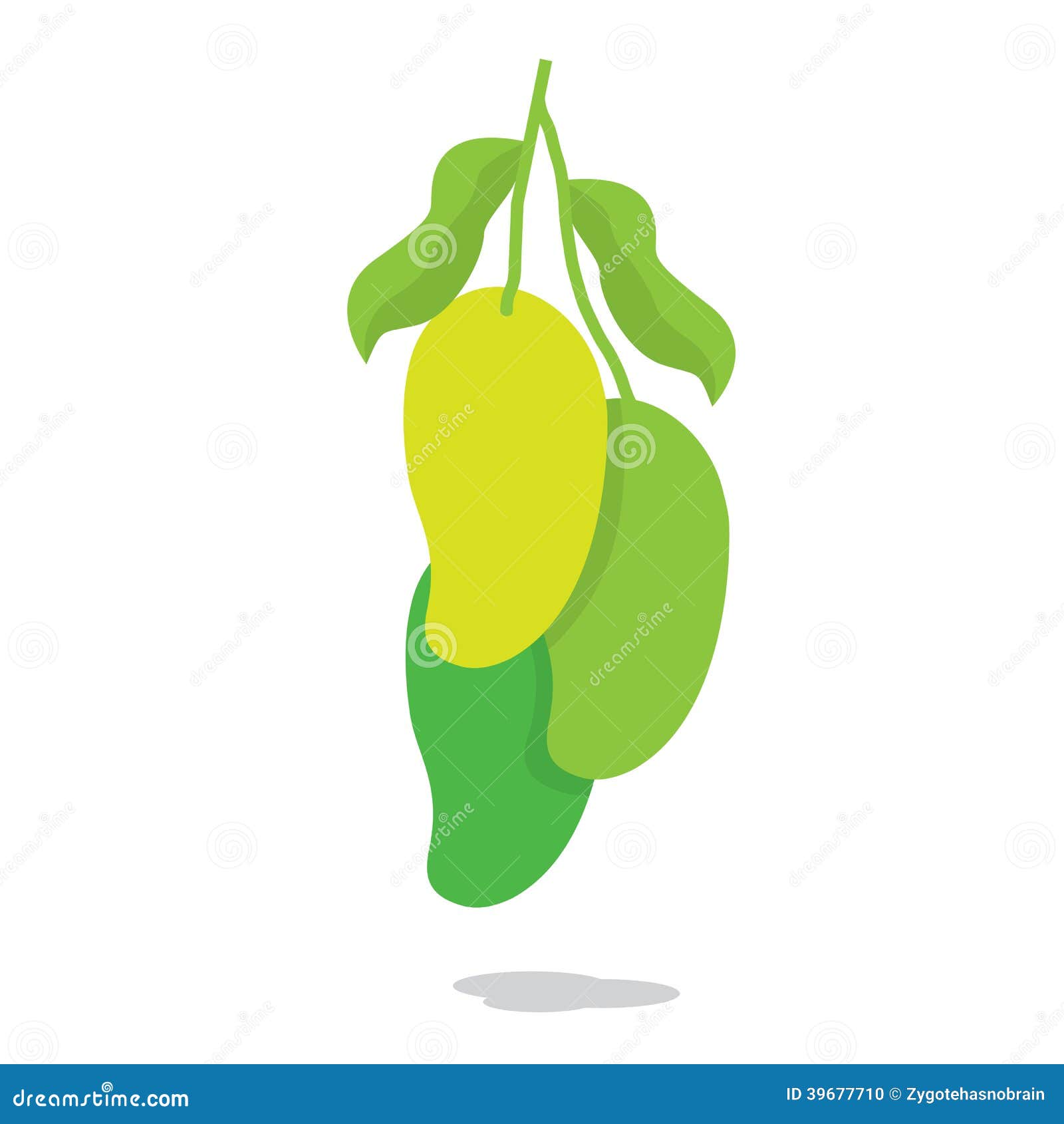 Mangoes Bunch stock vector. Illustration of natural, colorful - 39677710